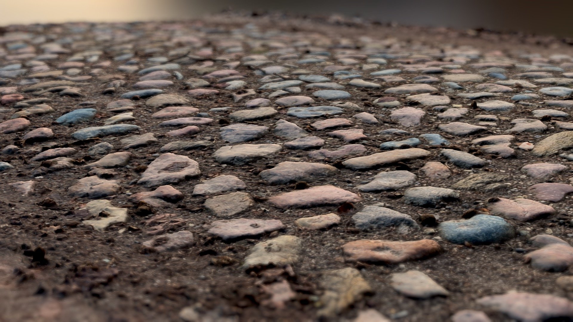 Cobblestone Road near Berlin / RealityScan - Download Free 3D model by ...