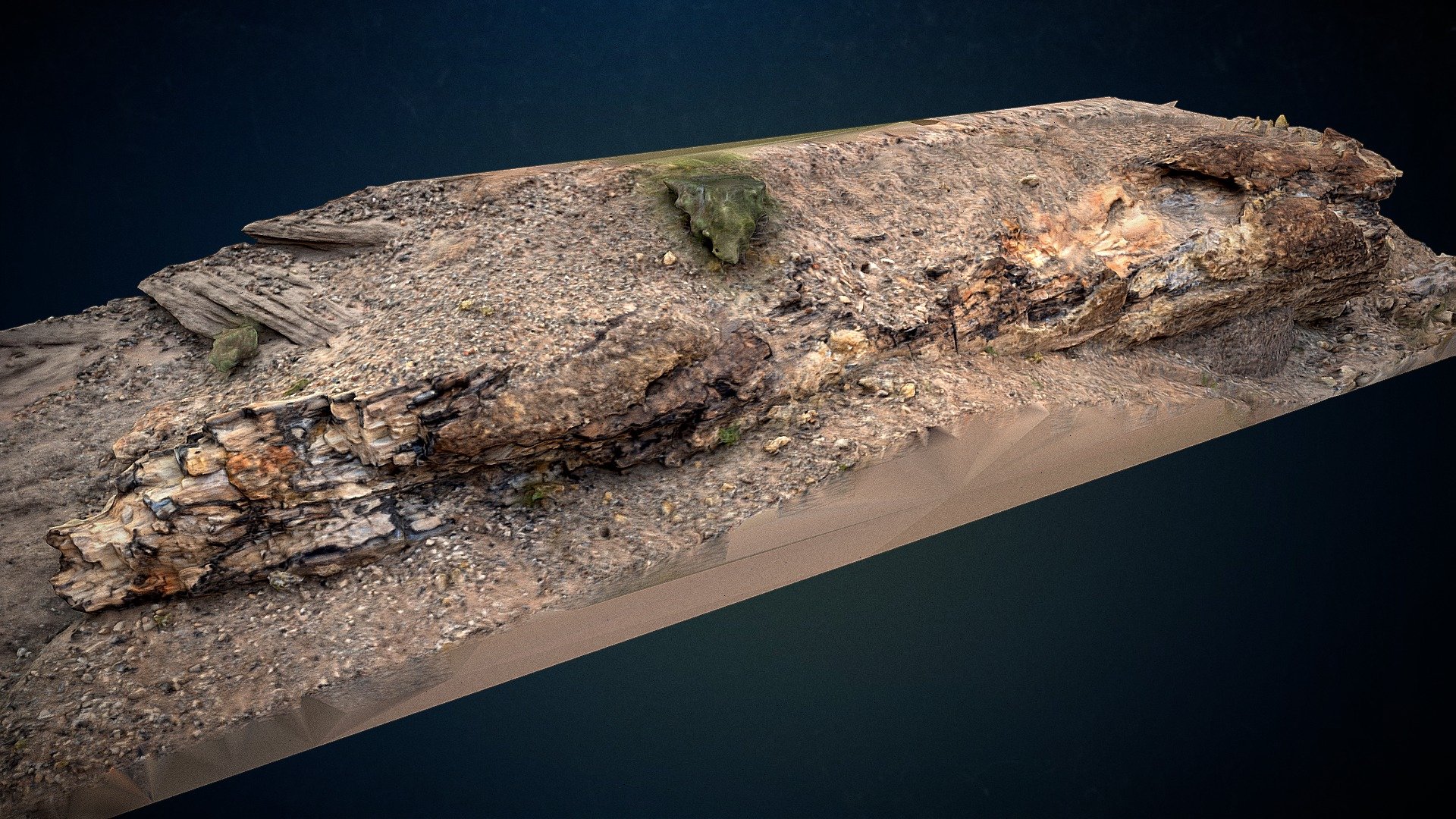 Petrified log around Hanksville, Utah - 3D model by Todd Mowen ...