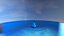 Simple Water Ripple Animation - Download Free 3D model by Yanez Designs ...