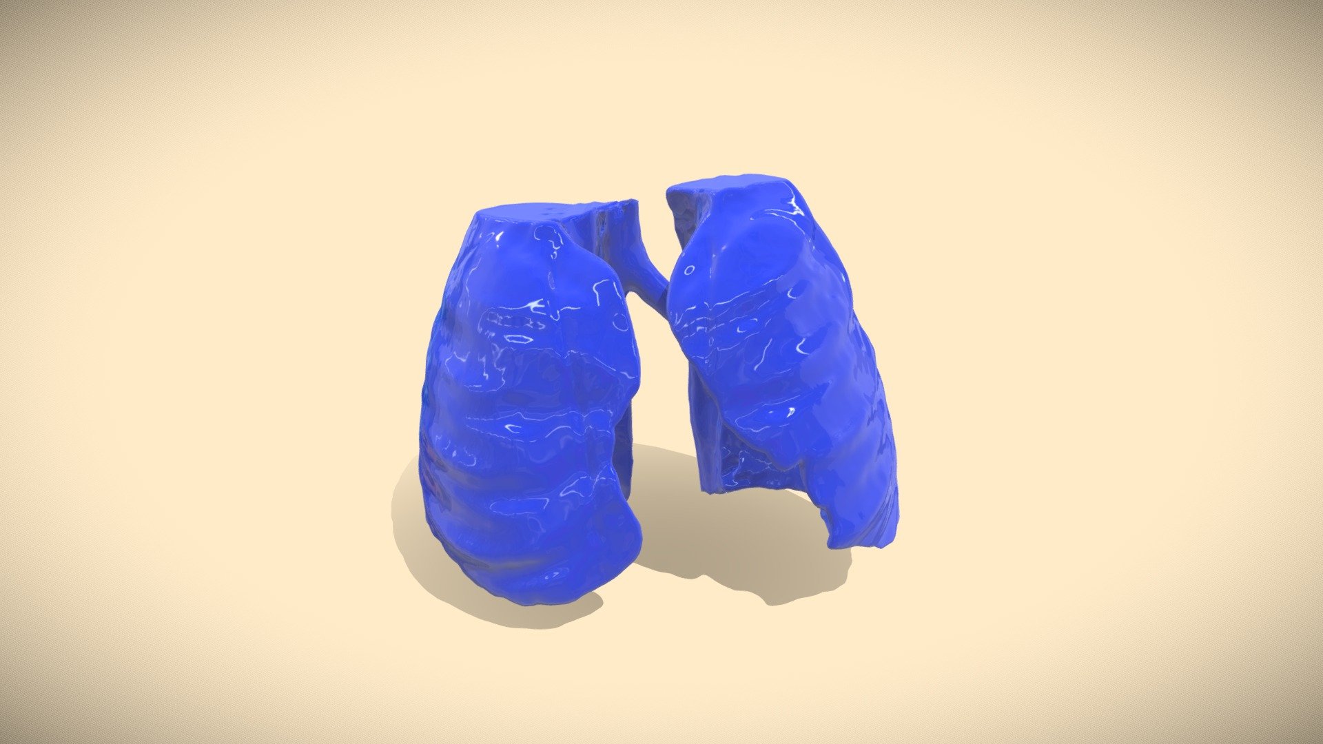 Lungs Segmentation - Download Free 3D model by Tavishaa Vanjani ...