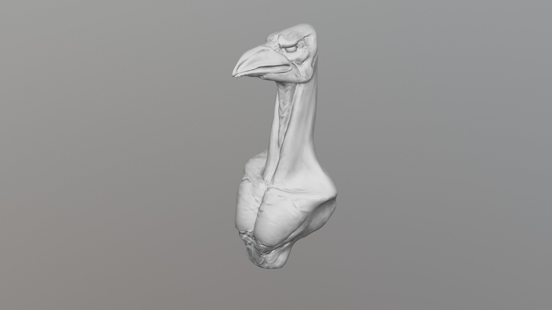 Ostrich - 3D model by rhuvenciyo [95b9e7f] - Sketchfab