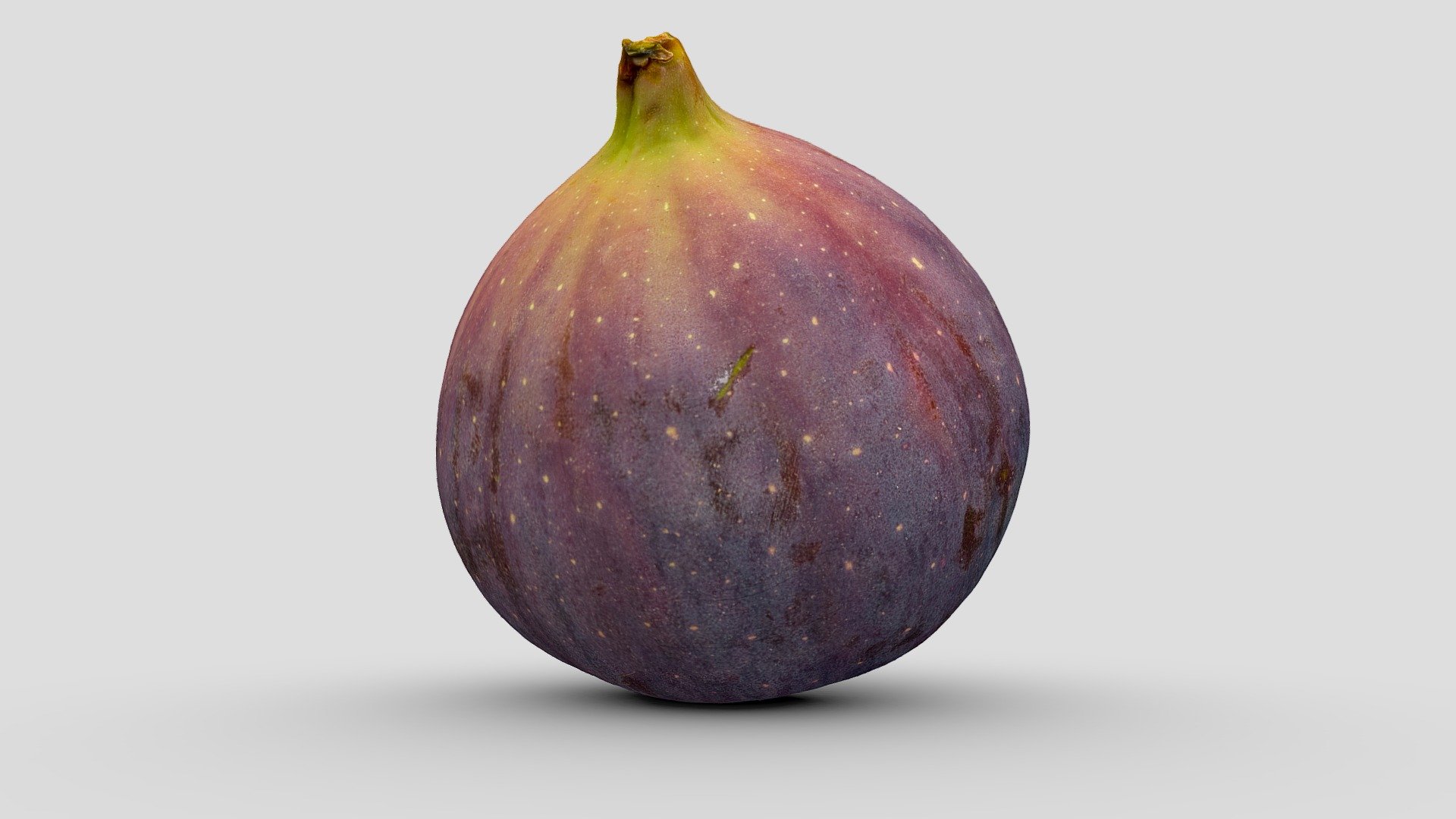 Fig - Download Free 3D model by 3DSCANPRO (@bemute) [95cd31b] - Sketchfab