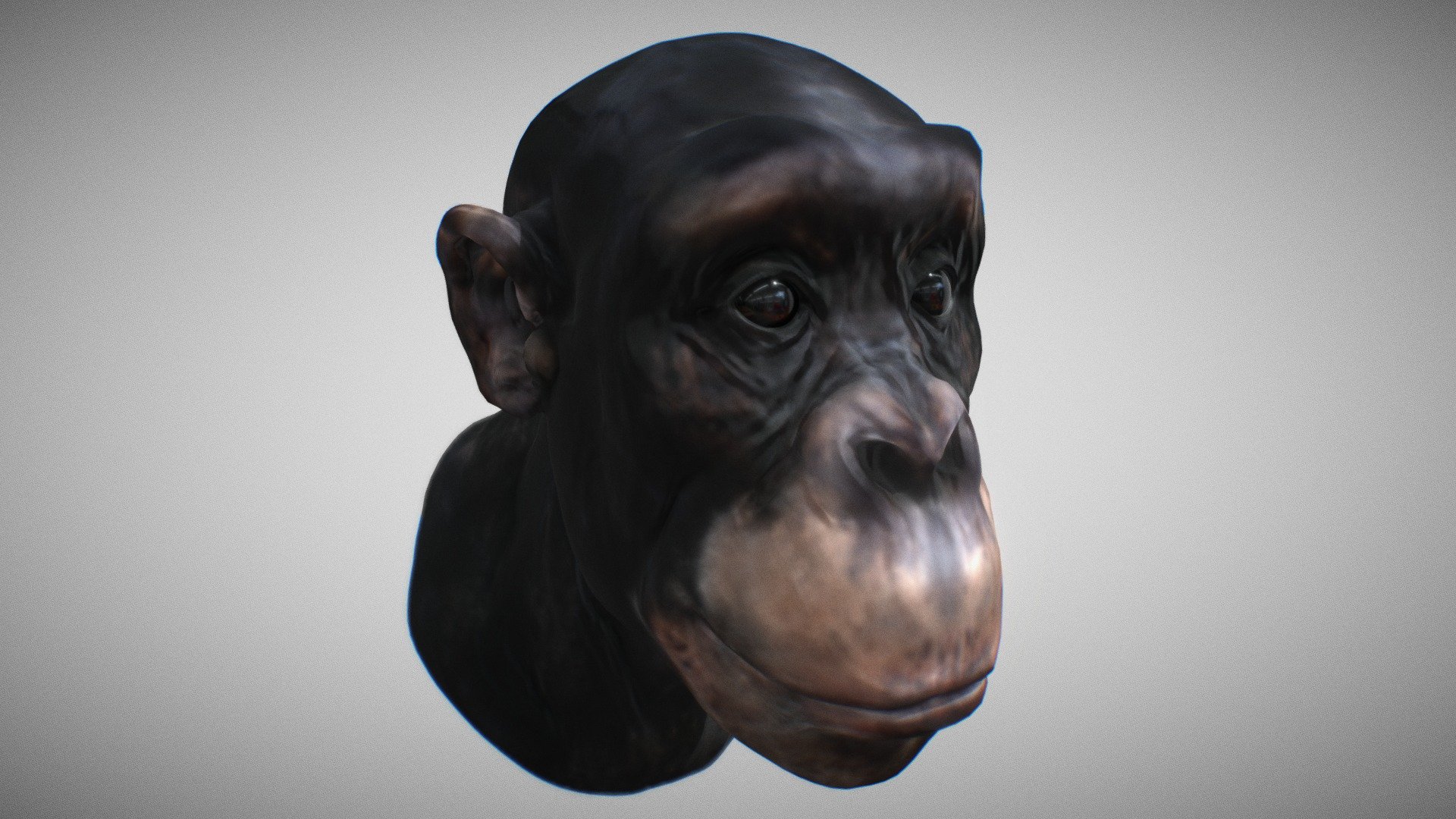 Chimpanzee - Buy Royalty Free 3D model by Tom Johnson (@Brigyon ...