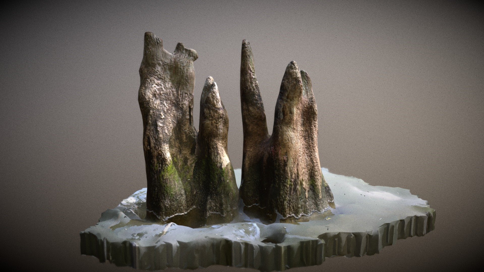 Cypress Knees, Lake Verret, Louisiana, US - copy - Download Free 3D ...