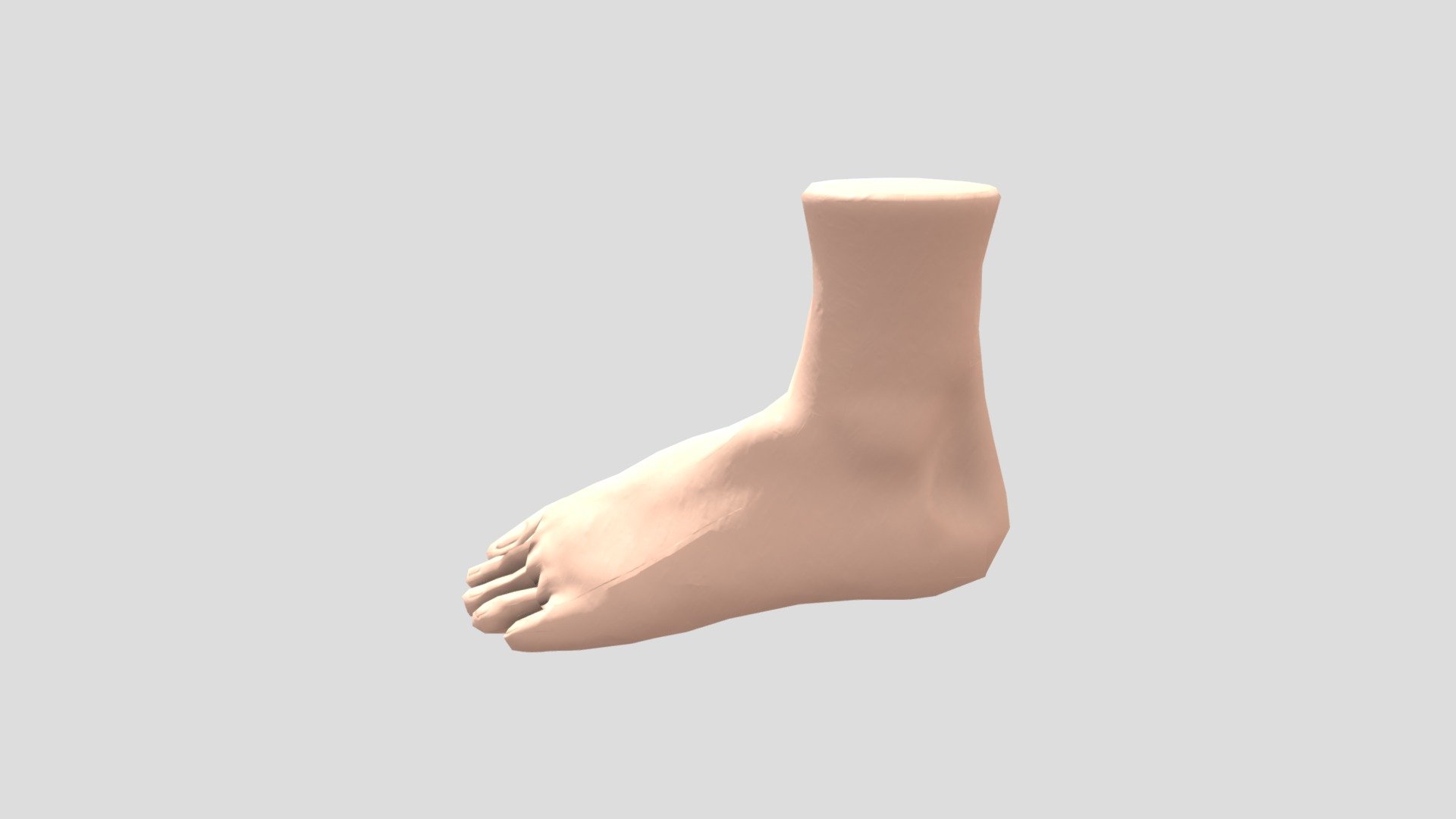Foot Sculpt - 3D model by josh.gnzales [95e03b6] - Sketchfab