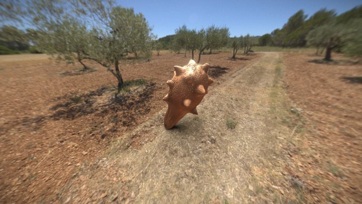 Bonk 3D models - Sketchfab