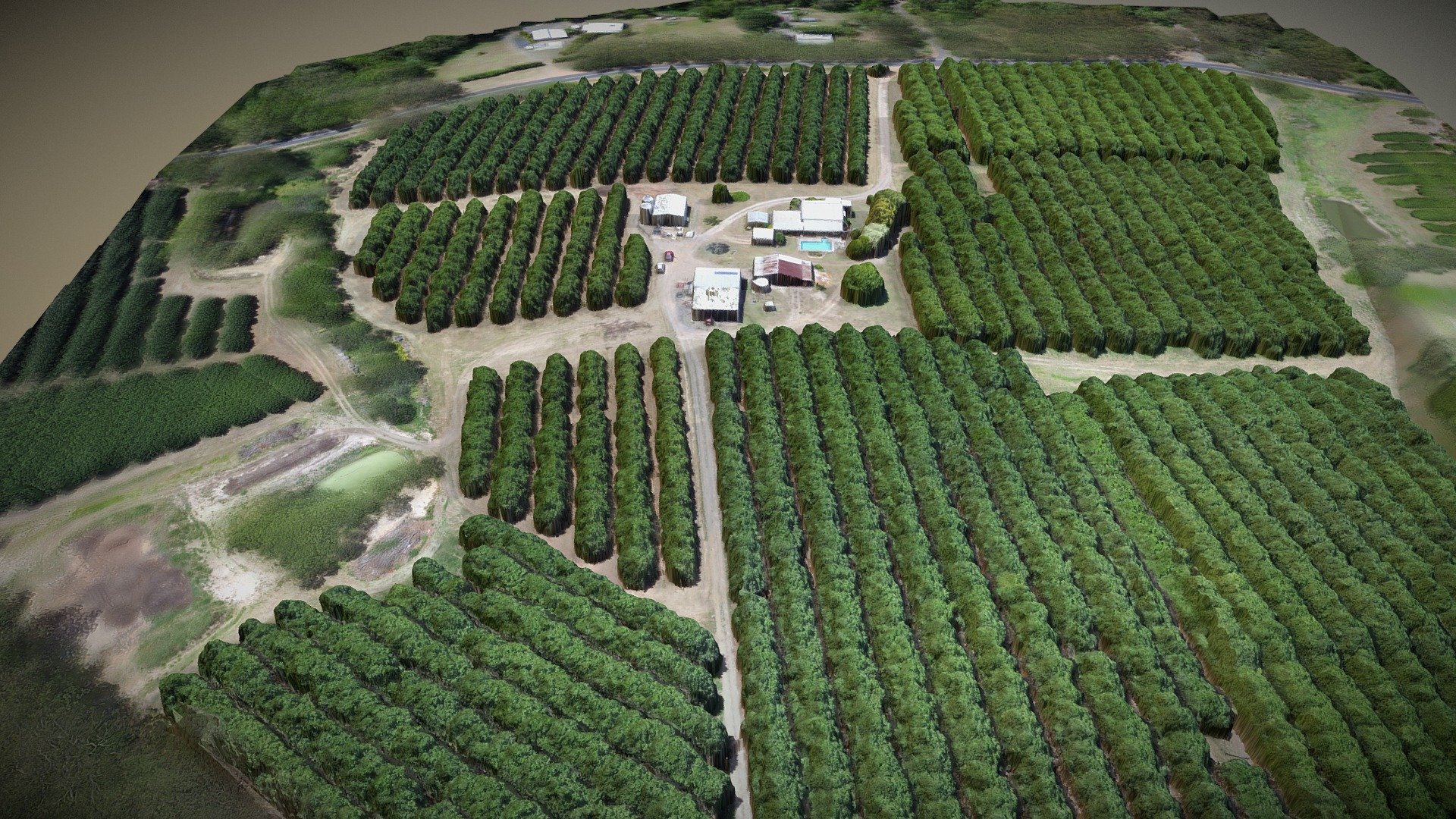 Macadamia Farm - 3D model by qlddrones [95e8757] - Sketchfab