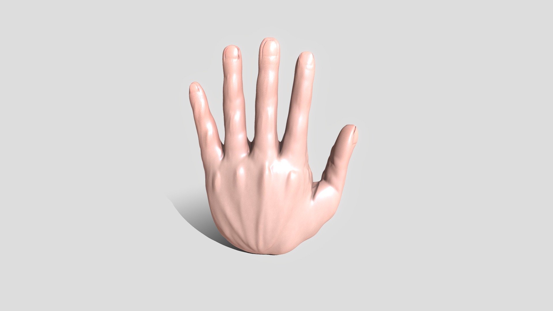 Hand sculpt - 3D model by cgo722 [95ed539] - Sketchfab