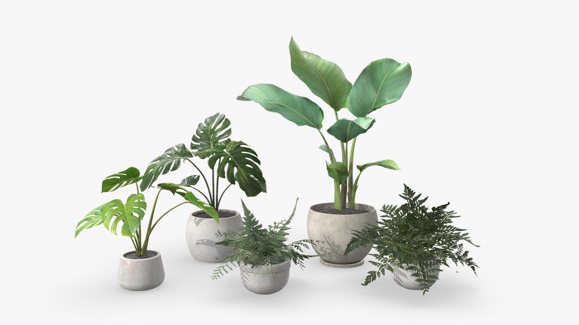 Plant Pack 01 - Buy Royalty Free 3D model by MozzarellaARC [95f6d27 ...