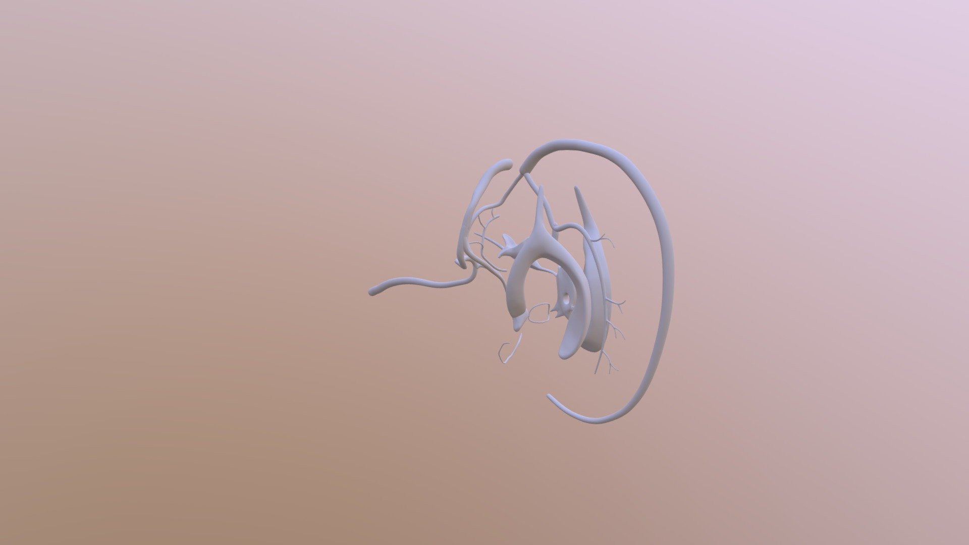 Dural Sinuses - 3D model by lkregula [95f7cdd] - Sketchfab
