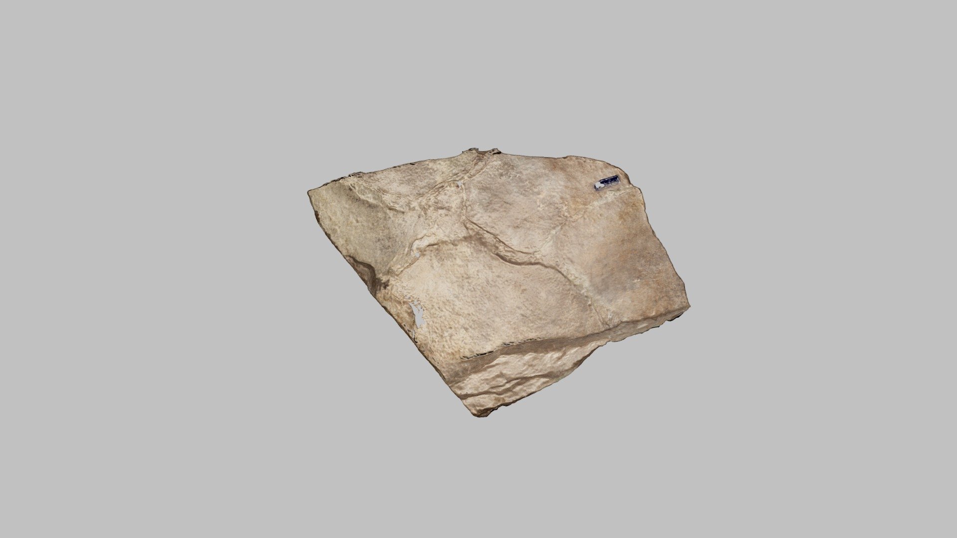 Sedimentary Structure 2 - Download Free 3D model by UTSC DPES ...