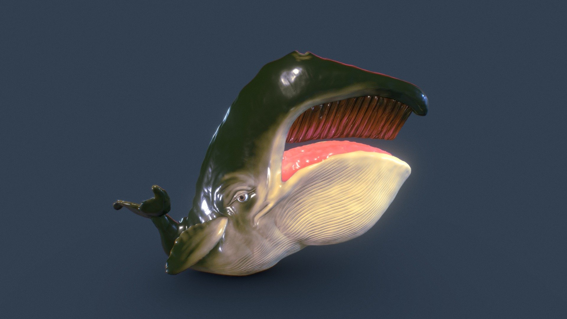 Bowhead Whale - 3D model by mammas_fridge [9606a86] - Sketchfab