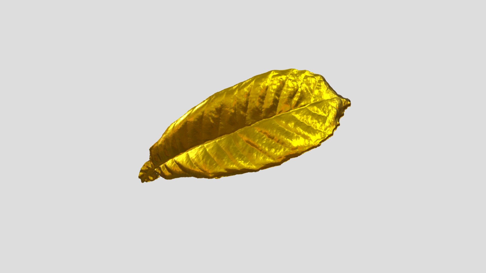 leaf Scanning by CR-Scan Lizard - Download Free 3D model by CR-Scan ...