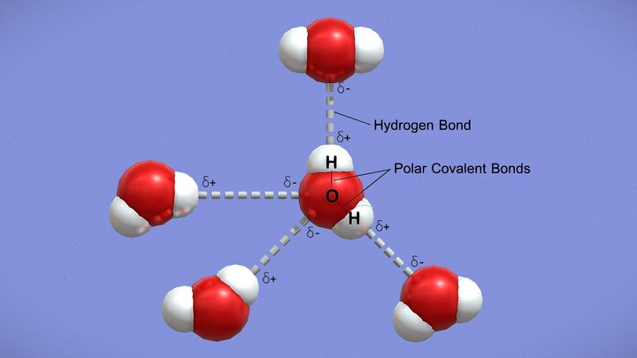 Hydrogen 3d Model File:Hydrogen Sulfide 3D VdW.png Wikimedia Commons