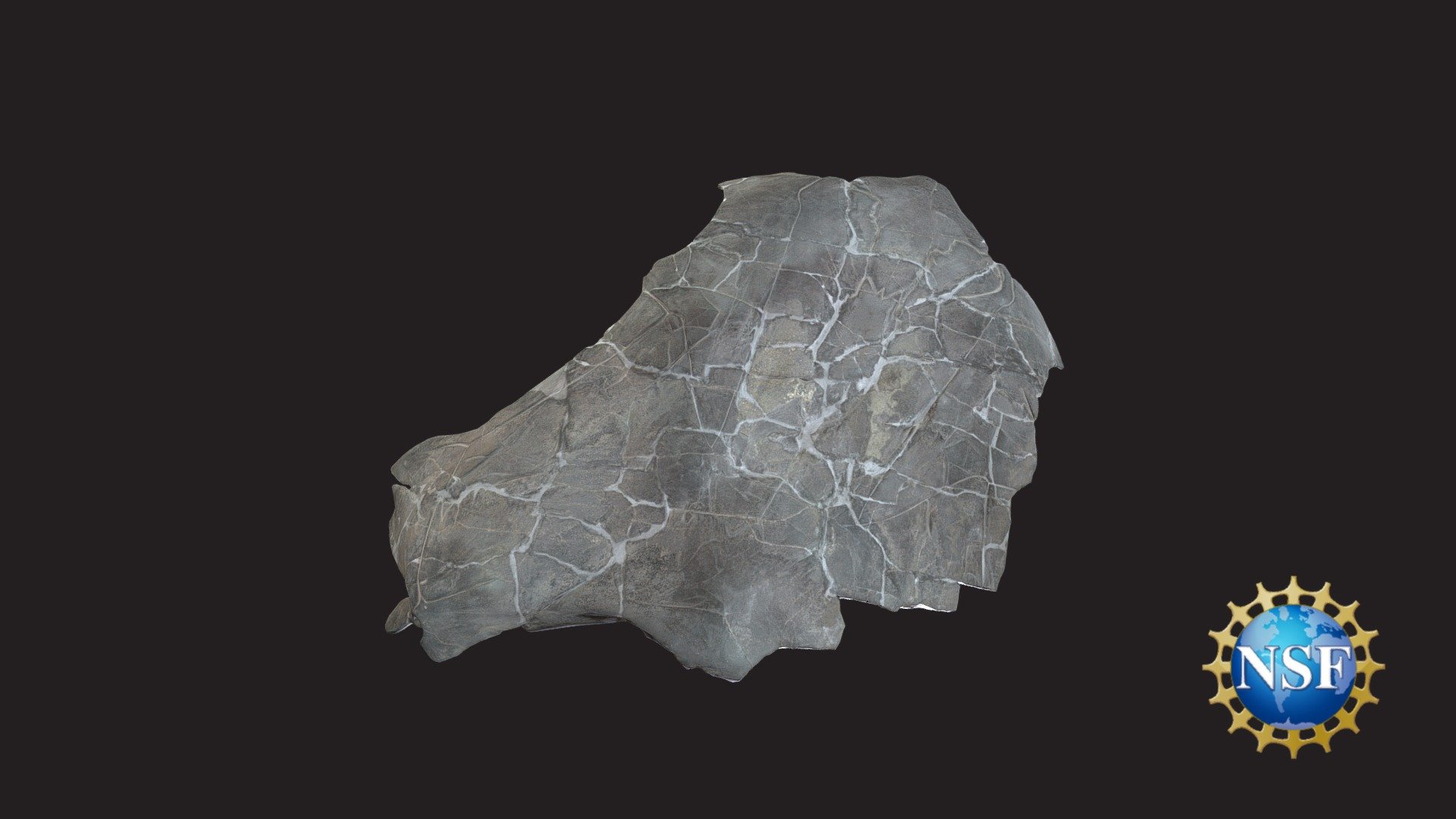 CMNH 7460, Dunkleosteus terrelli - 3D model by Cleveland Museum of ...