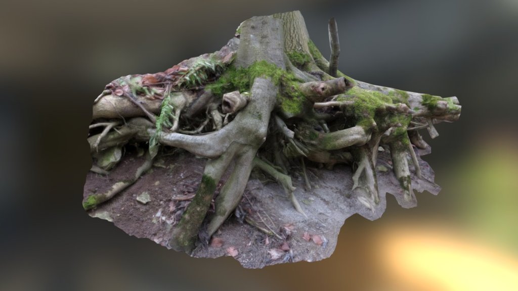 Tree Roots - Download Free 3D model by falk lochmann (@falk) [961841e ...