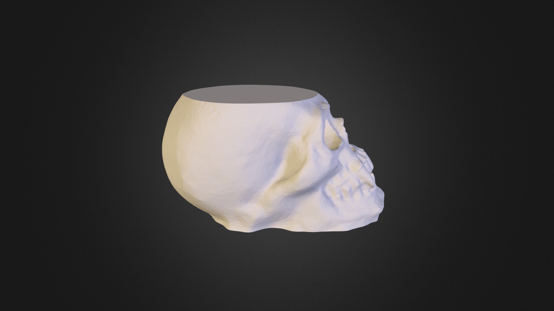 Flat-topped Skull with Fangs - 3D model by 3dindustries [961eaab ...