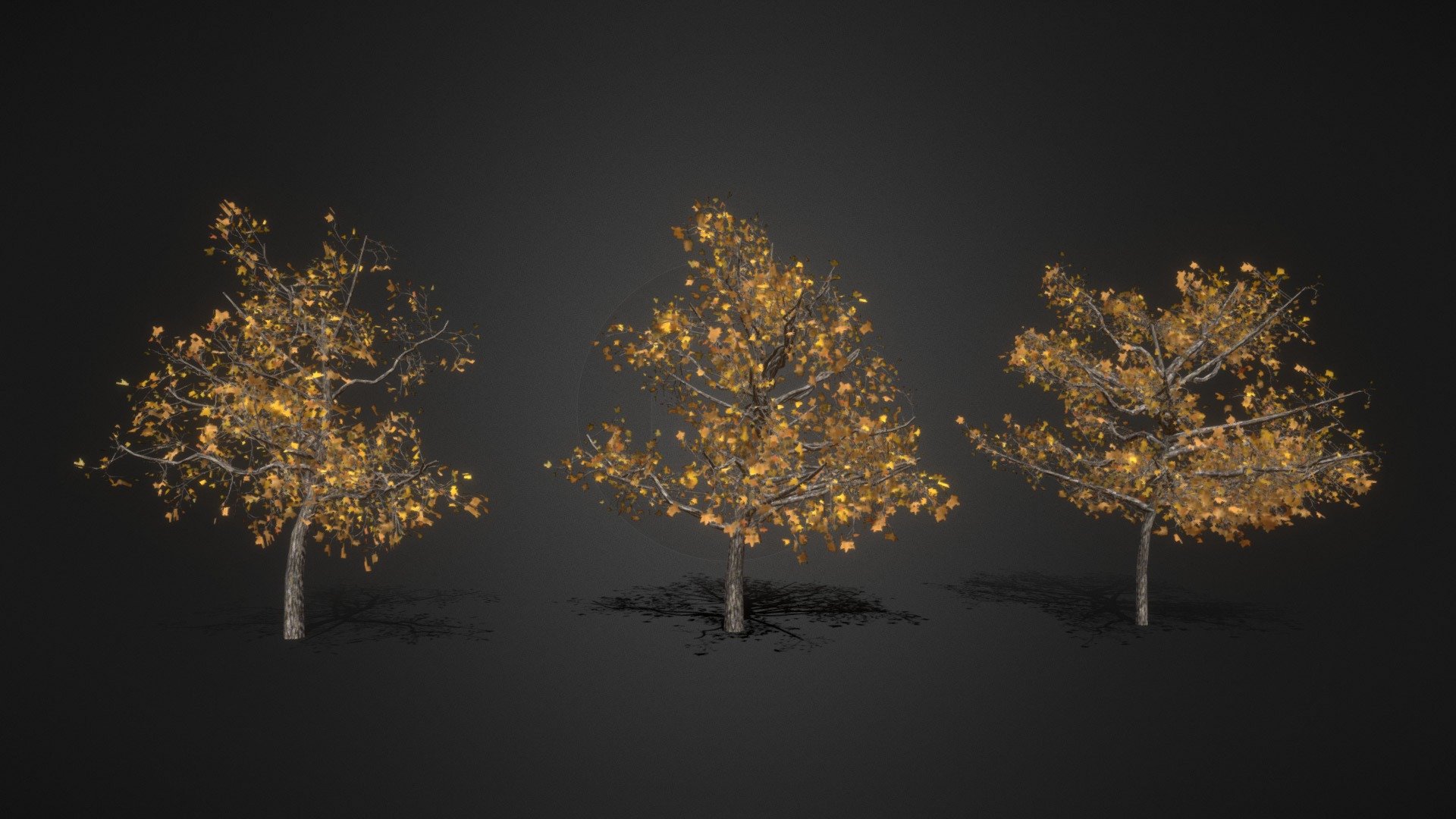 Fall Maple Trees (Geometry nodes) - Download Free 3D model by xylvnking ...