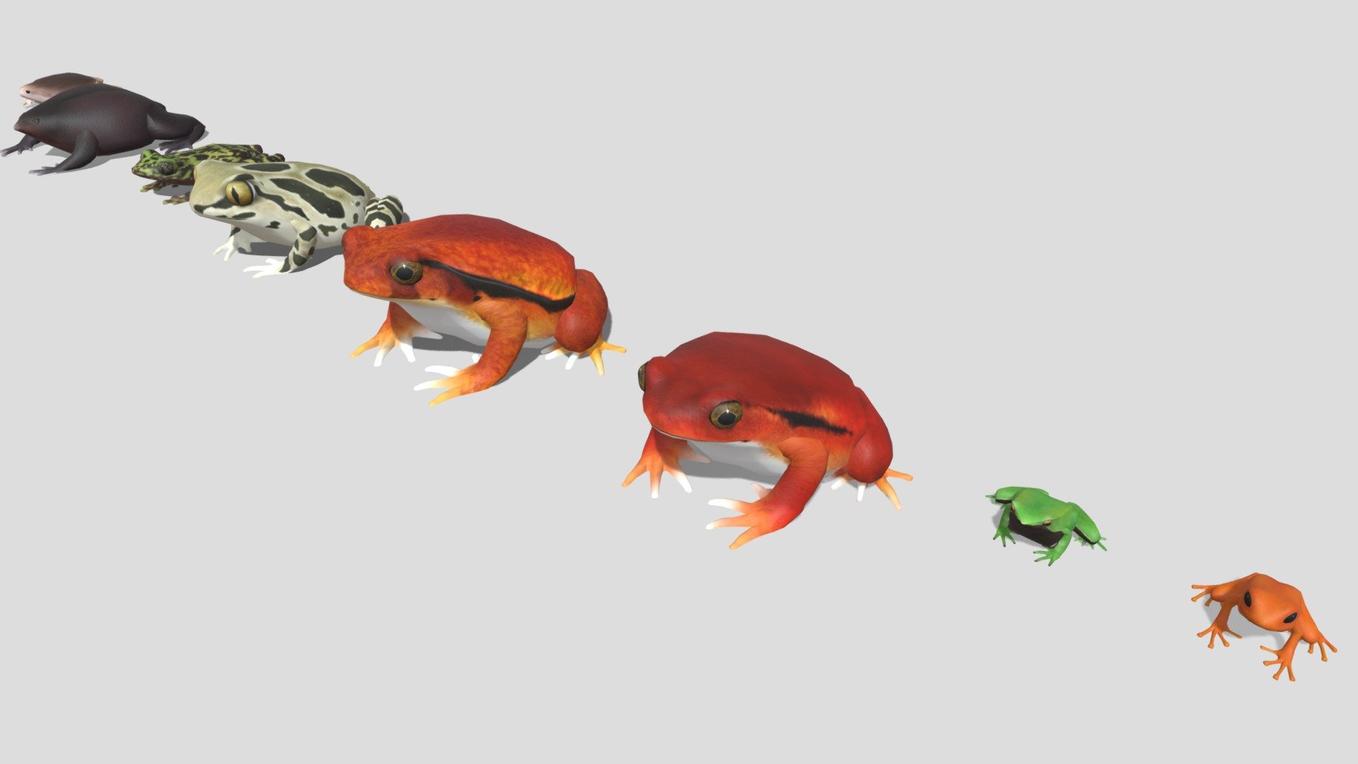 8 kinds of toad A - 3D model by Mozukui (@redfrogman) [9625c4f] - Sketchfab