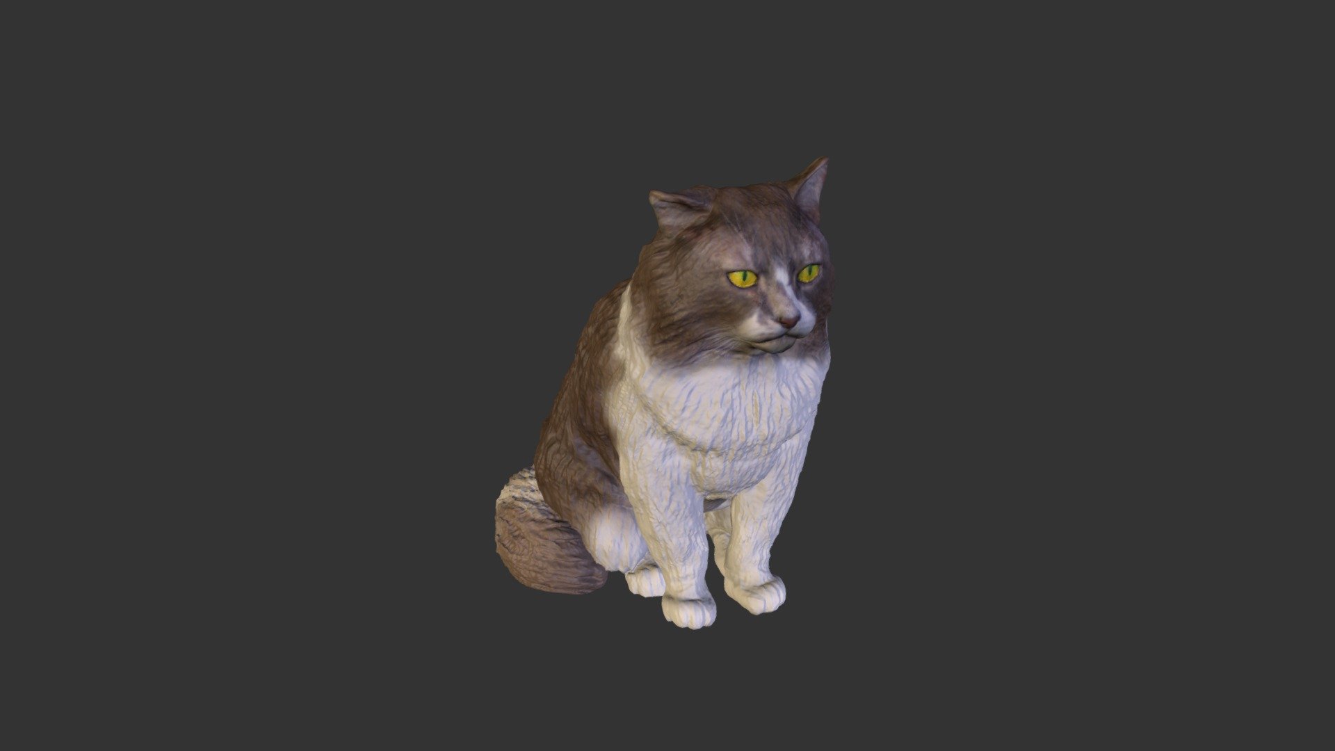 Cat 2 - 3D model by monostudio [9626793] - Sketchfab