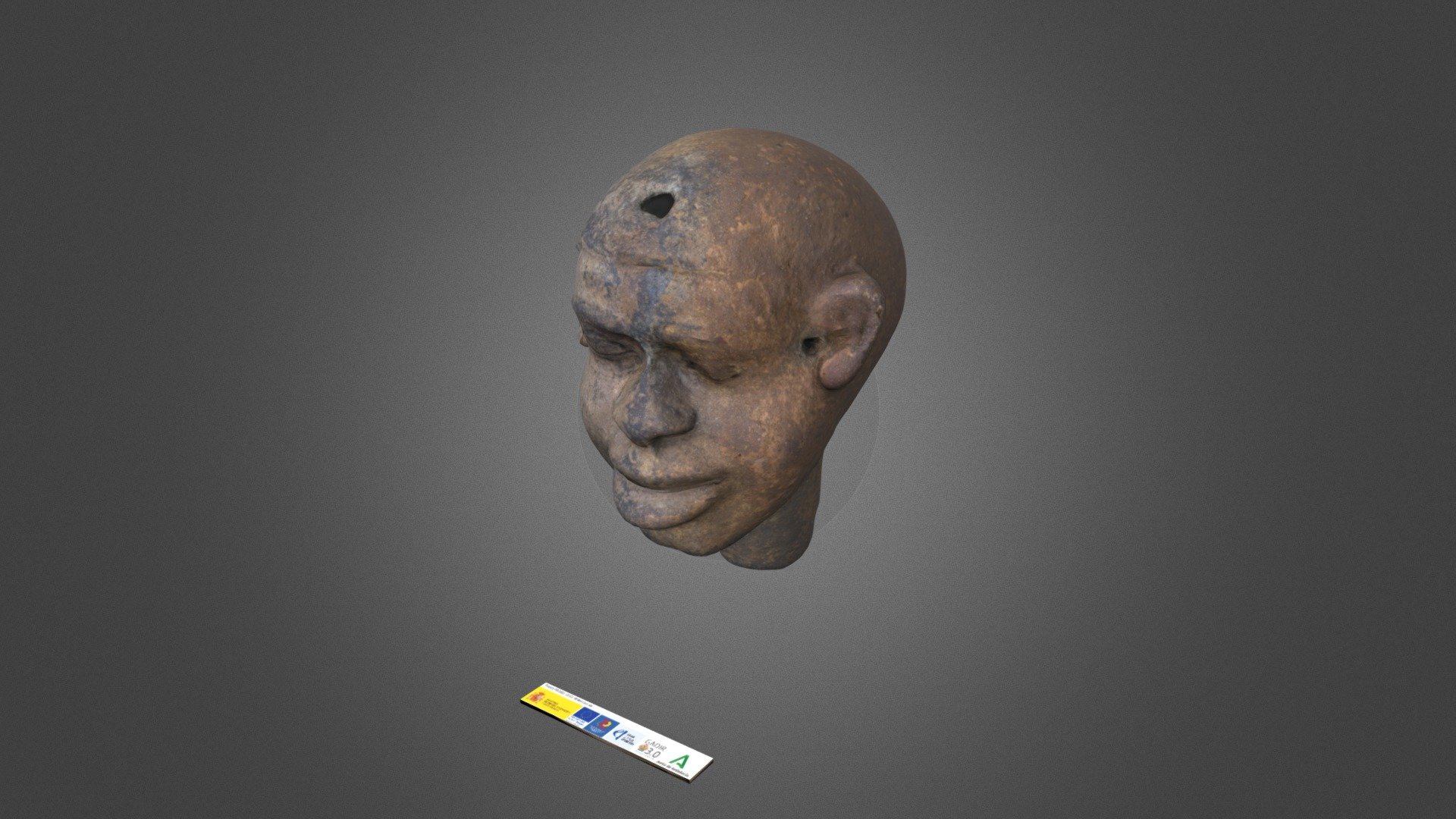 Cabeza de negroide / Negroid head - 3D model by Museo de Cádiz ...