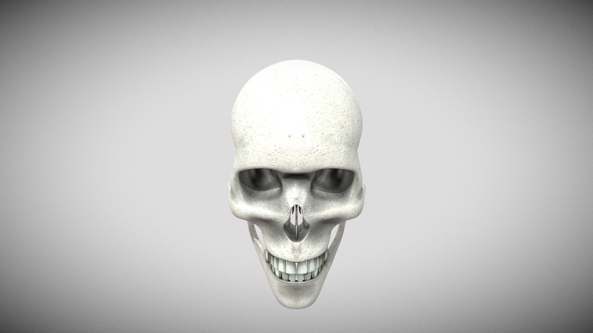 Human skull - Download Free 3D model by Freddan755 [9630006] - Sketchfab