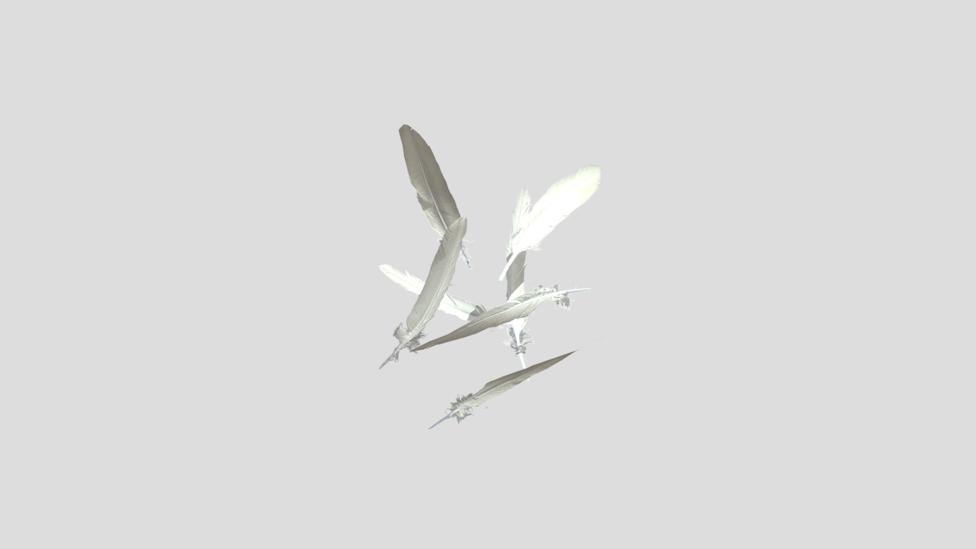 Piume Fbx - Download Free 3D model by davideformentiarranz [9632d1b ...