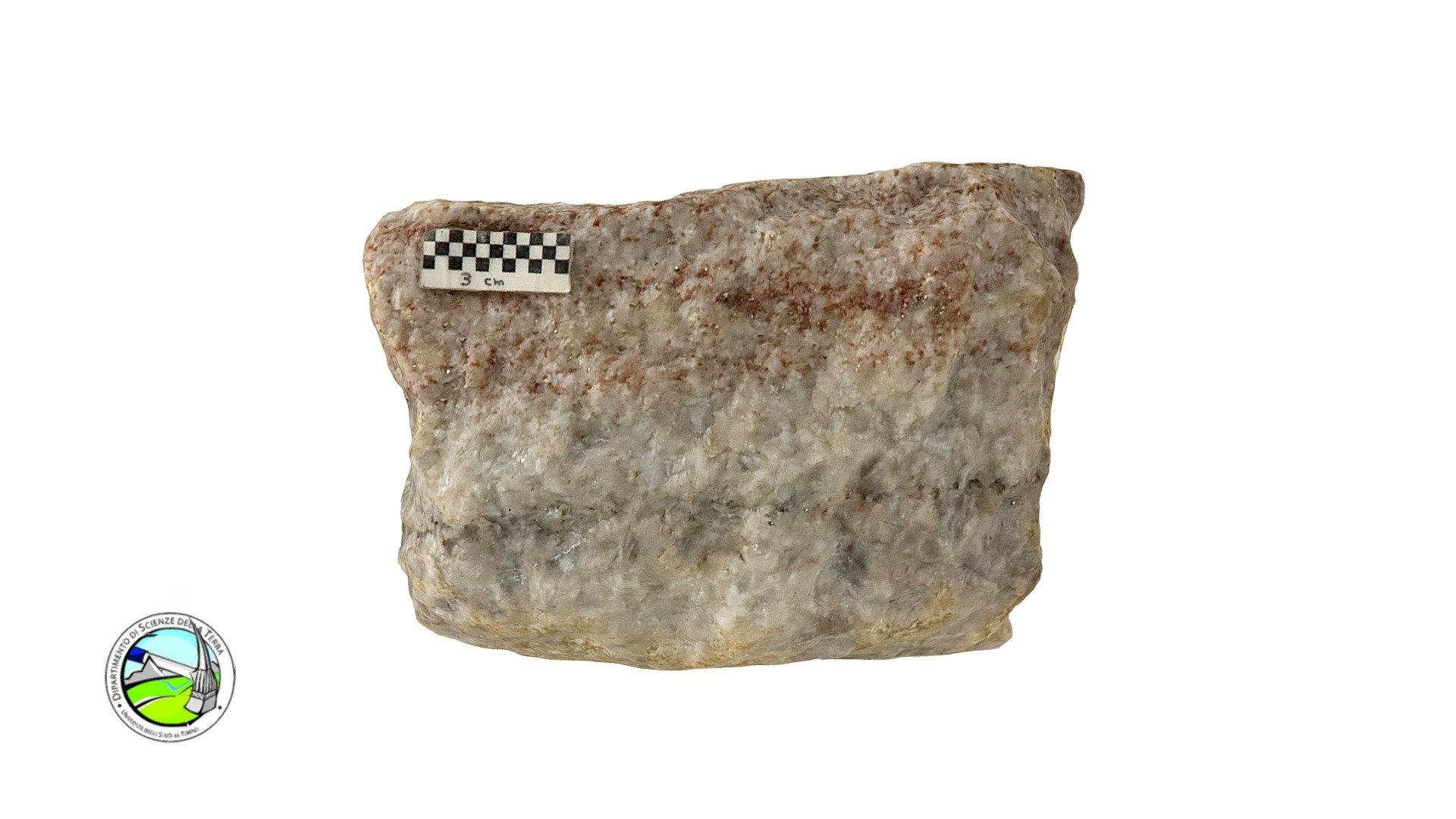 MR131 - Marmo a flogopite - 3D model by Dipartimento di Scienze della ...