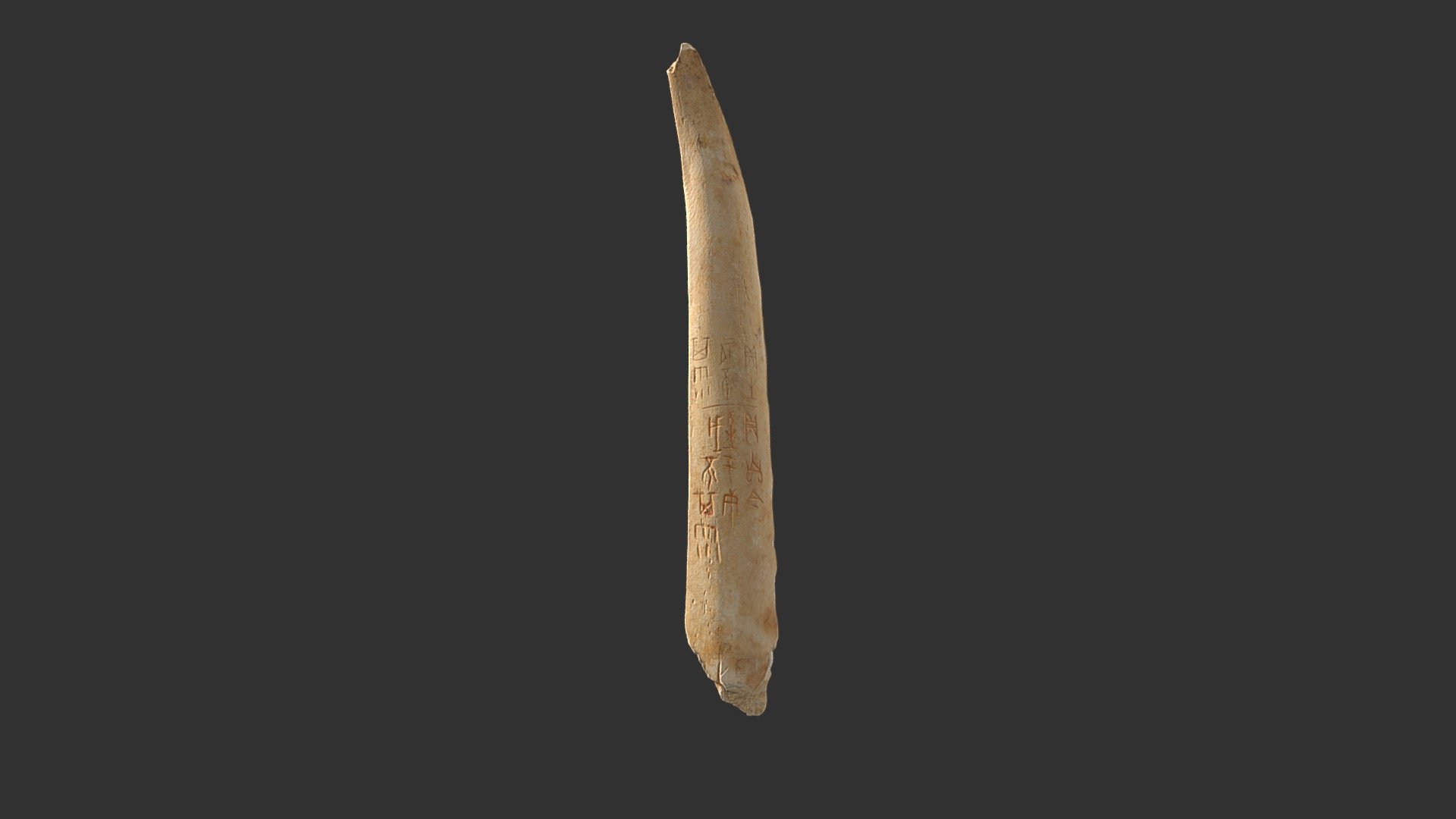 Chinese Oracle Bones, MS-CHI-BONES-CUL-00004 - 3D model by Cambridge ...