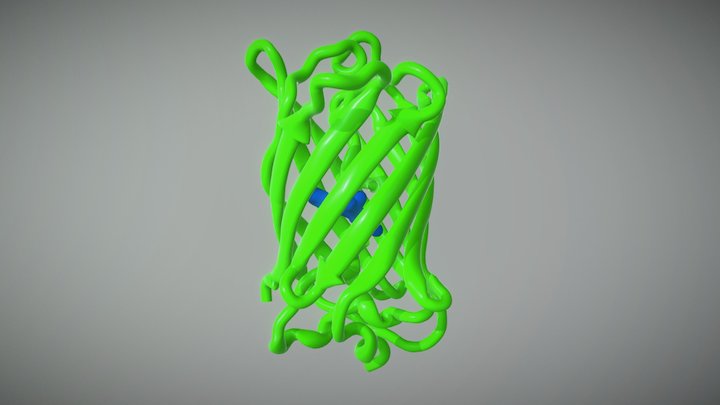 Gfp 3d Models Sketchfab
