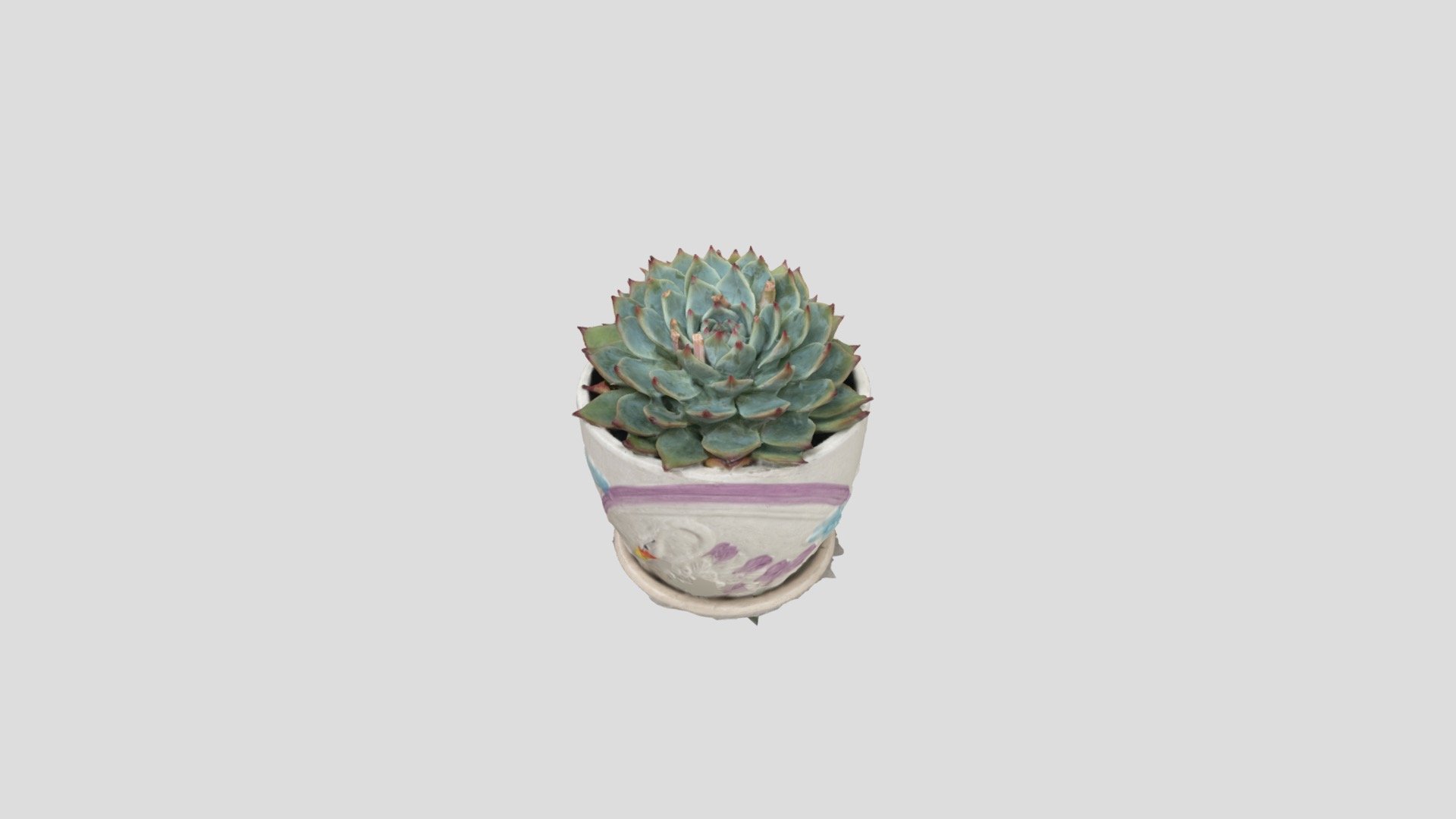 Succulent Plant 1 (Raw Scan) - Download Free 3D model by RayZh ...