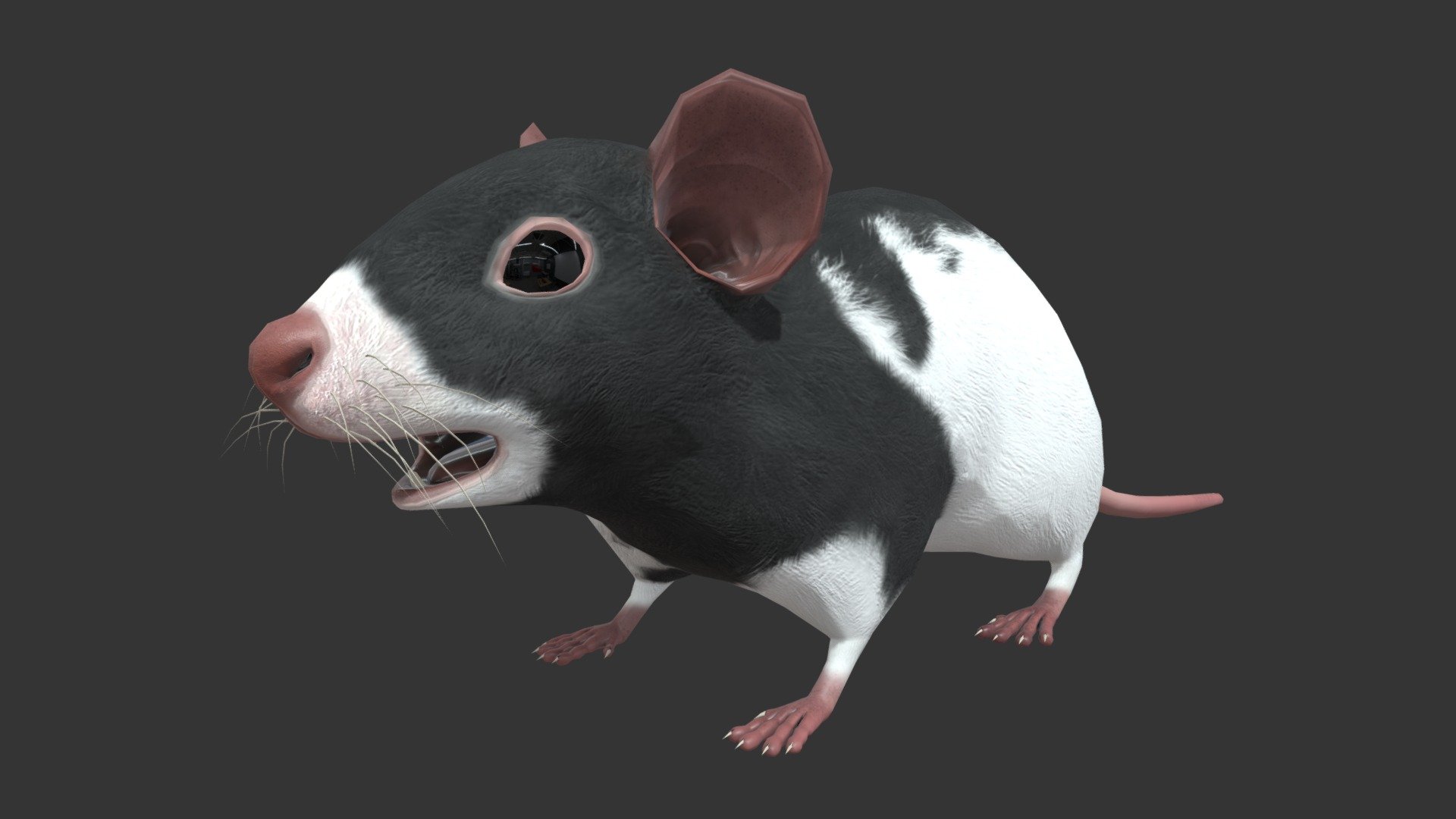 Mouse - 3D model by NhatLinh [964b8da] - Sketchfab