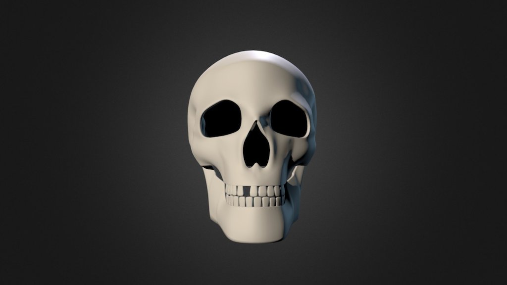Basic skull - 3D model by detti131 [9652a34] - Sketchfab