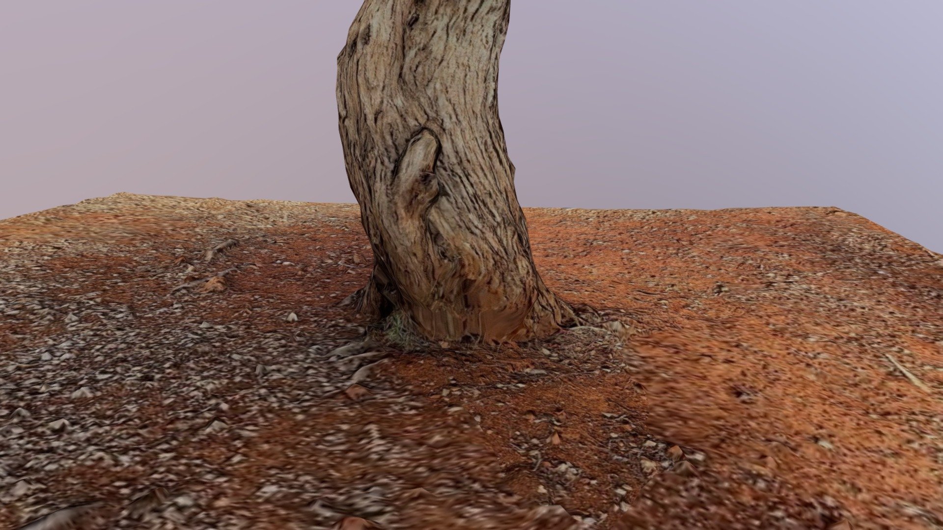 Tree branches capture - Download Free 3D model by leeprobert [96569ab ...