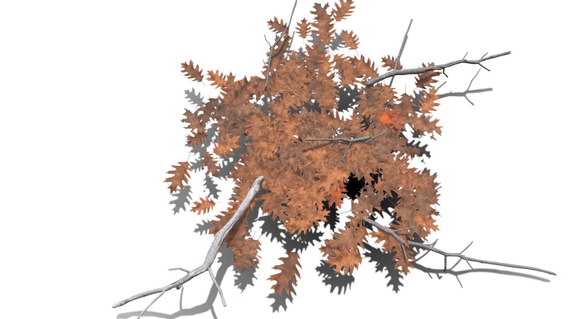 Realistic HD Red oak leaf litter (3/36) - Download Free 3D model by ...