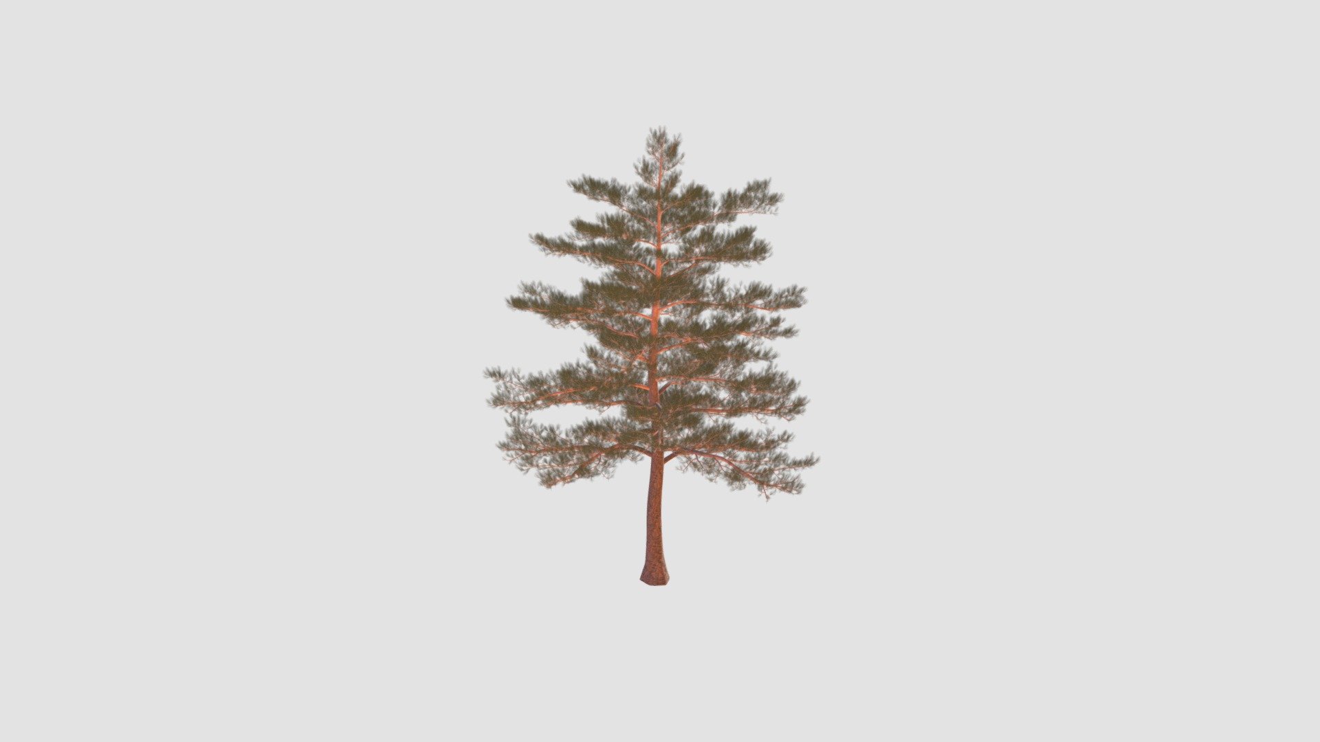 tree - Buy Royalty Free 3D model by Evermotion [965dd75] - Sketchfab Store