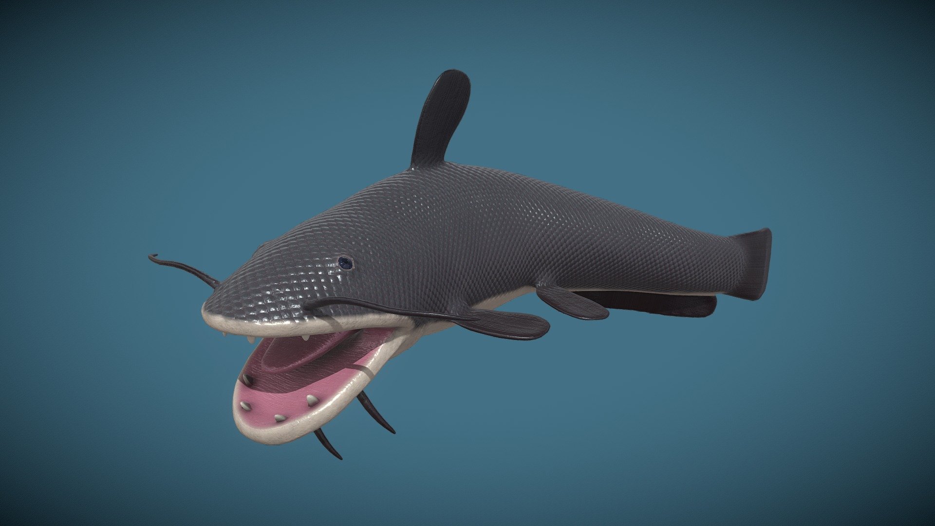 Cat Fish Cartoon - Download Free 3D model by emelyarules [965e5a0 ...