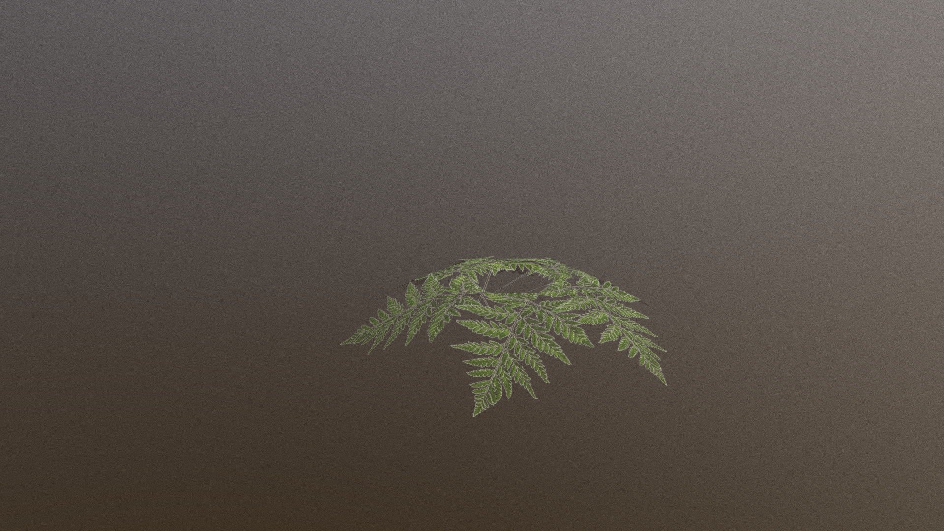 Fern - Download Free 3D model by mikupiku [9662ae0] - Sketchfab