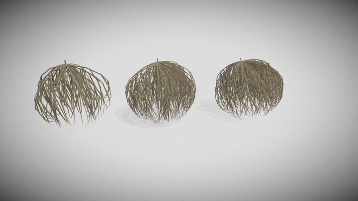 Weed 3D models - Sketchfab