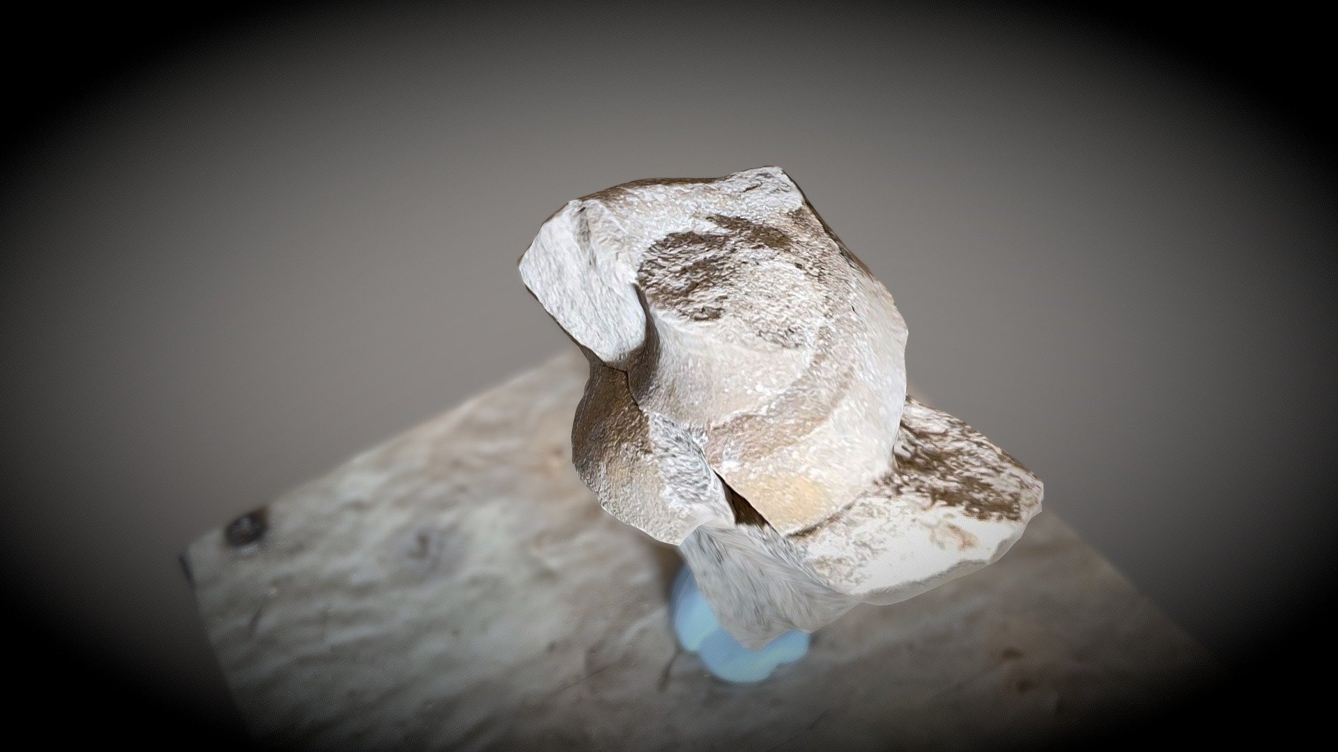 Late Tournaisian Gastropoda - Download Free 3D model by AVZ ...