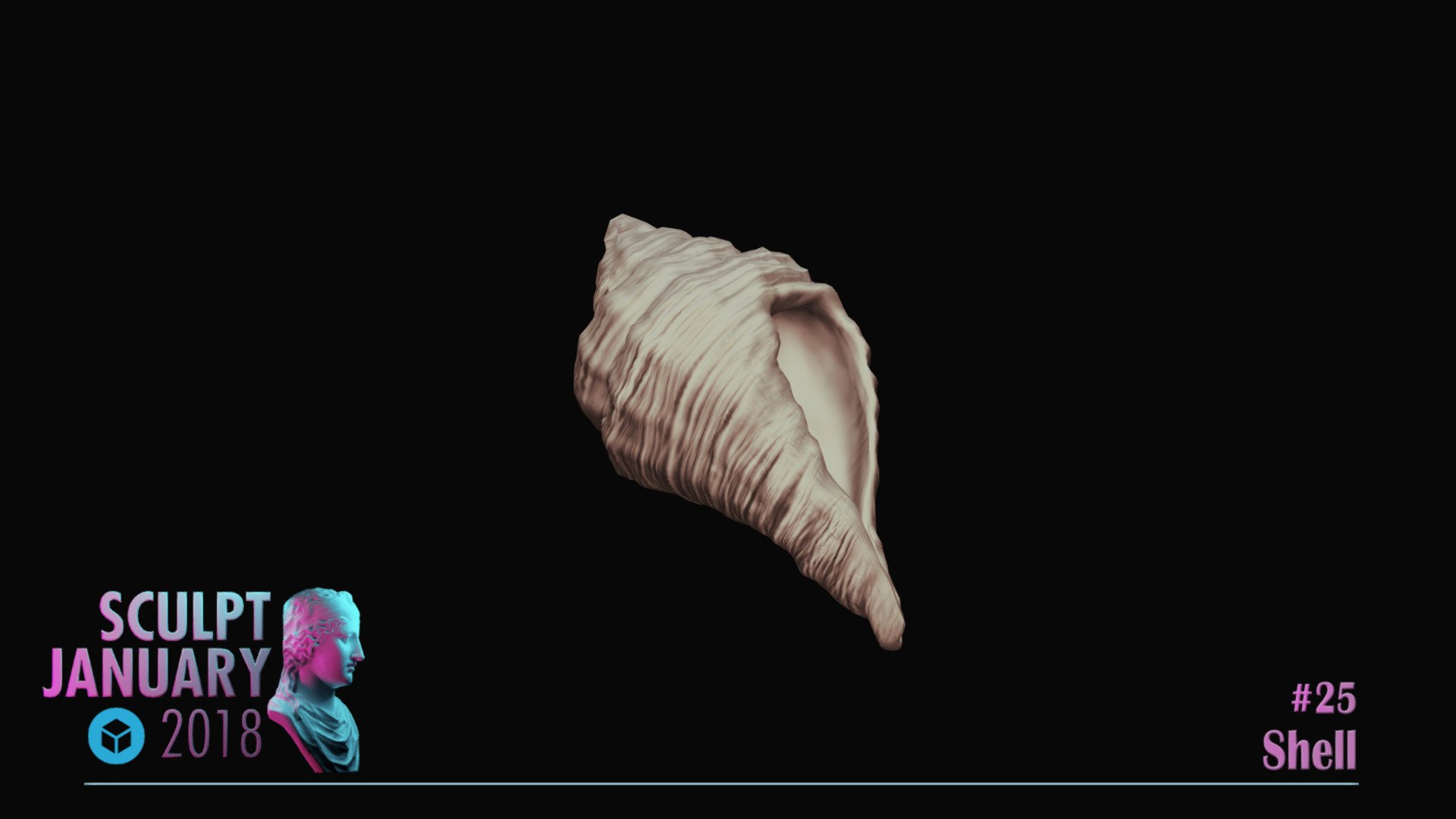 Shell - Download Free 3D model by JuanG3D [966c784] - Sketchfab