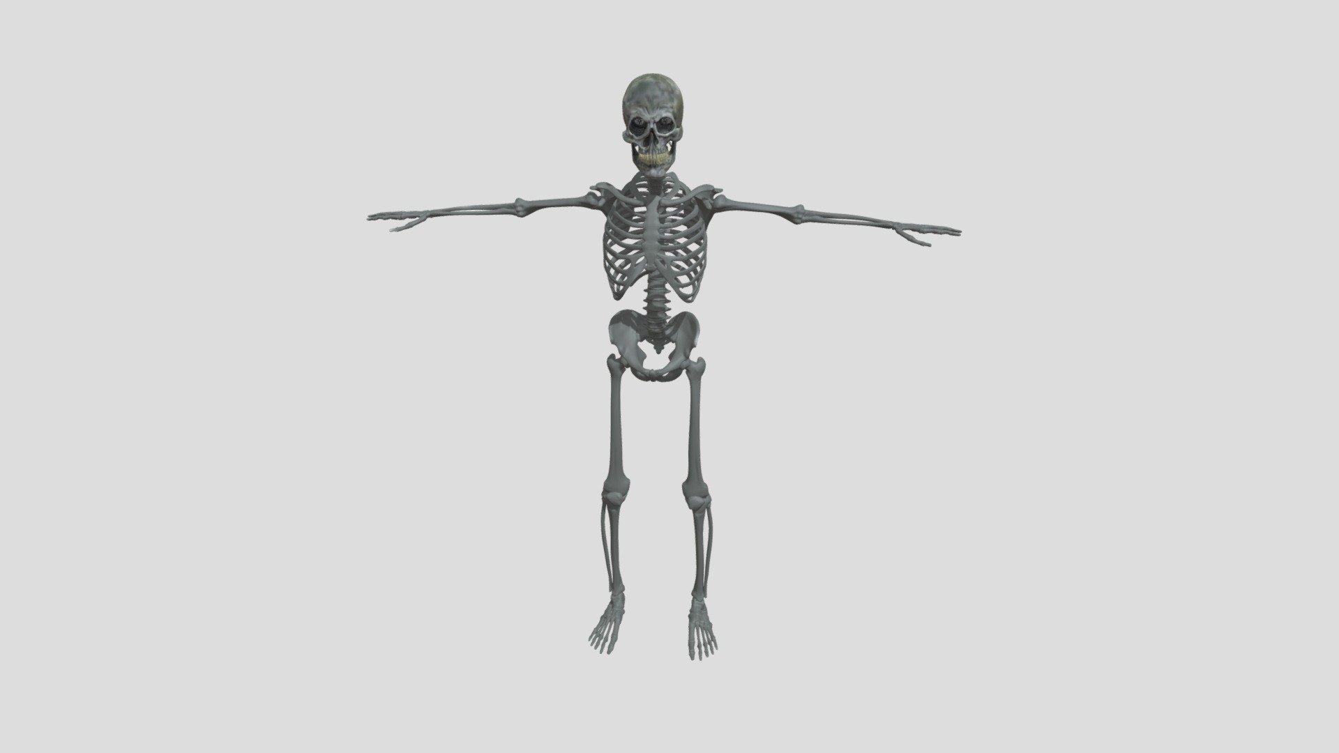 Skeleton - 3D model by dragoivanov189 [9680499] - Sketchfab