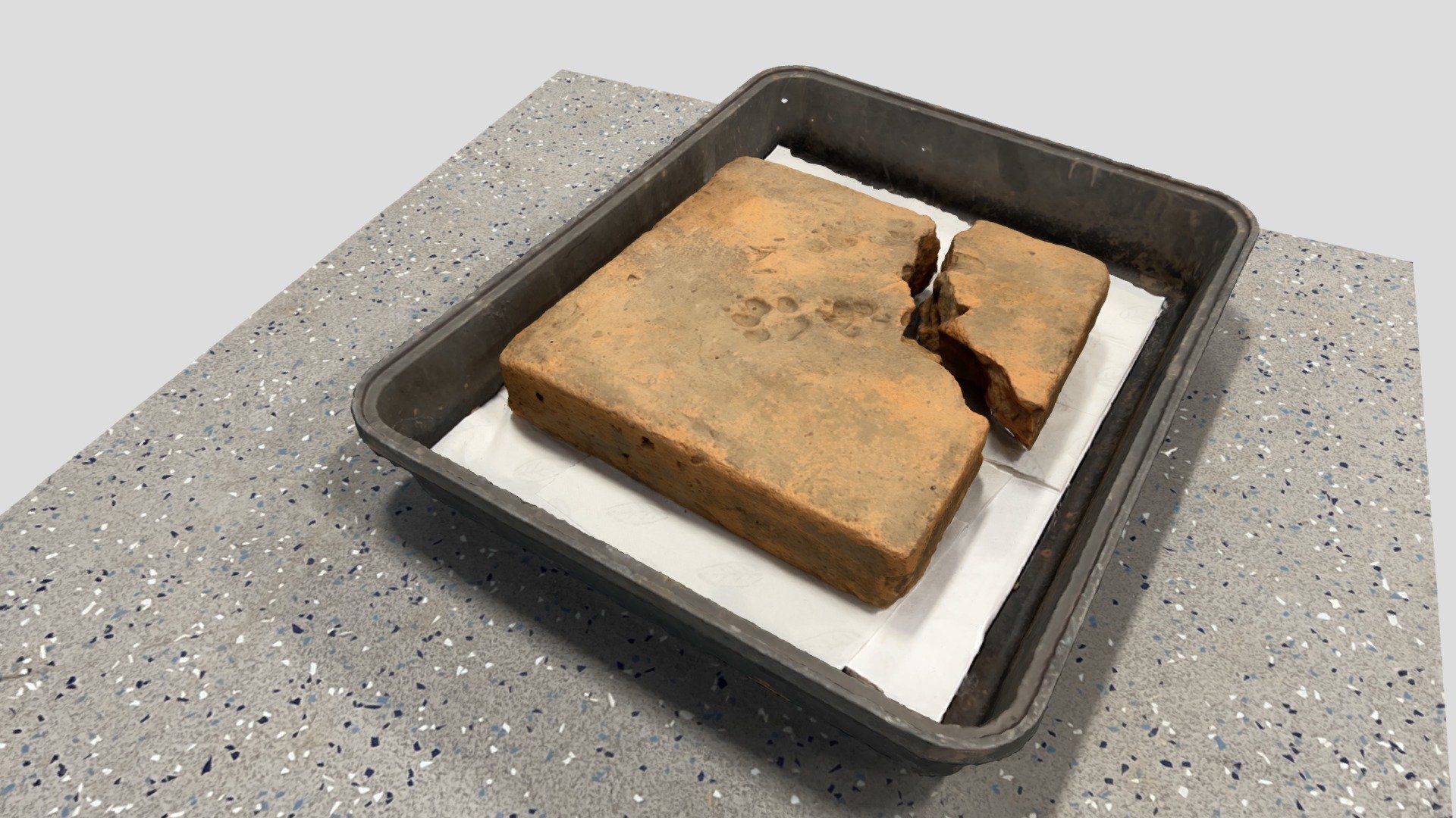 Dog paw print - 3D model by ursulackah [96818a5] - Sketchfab