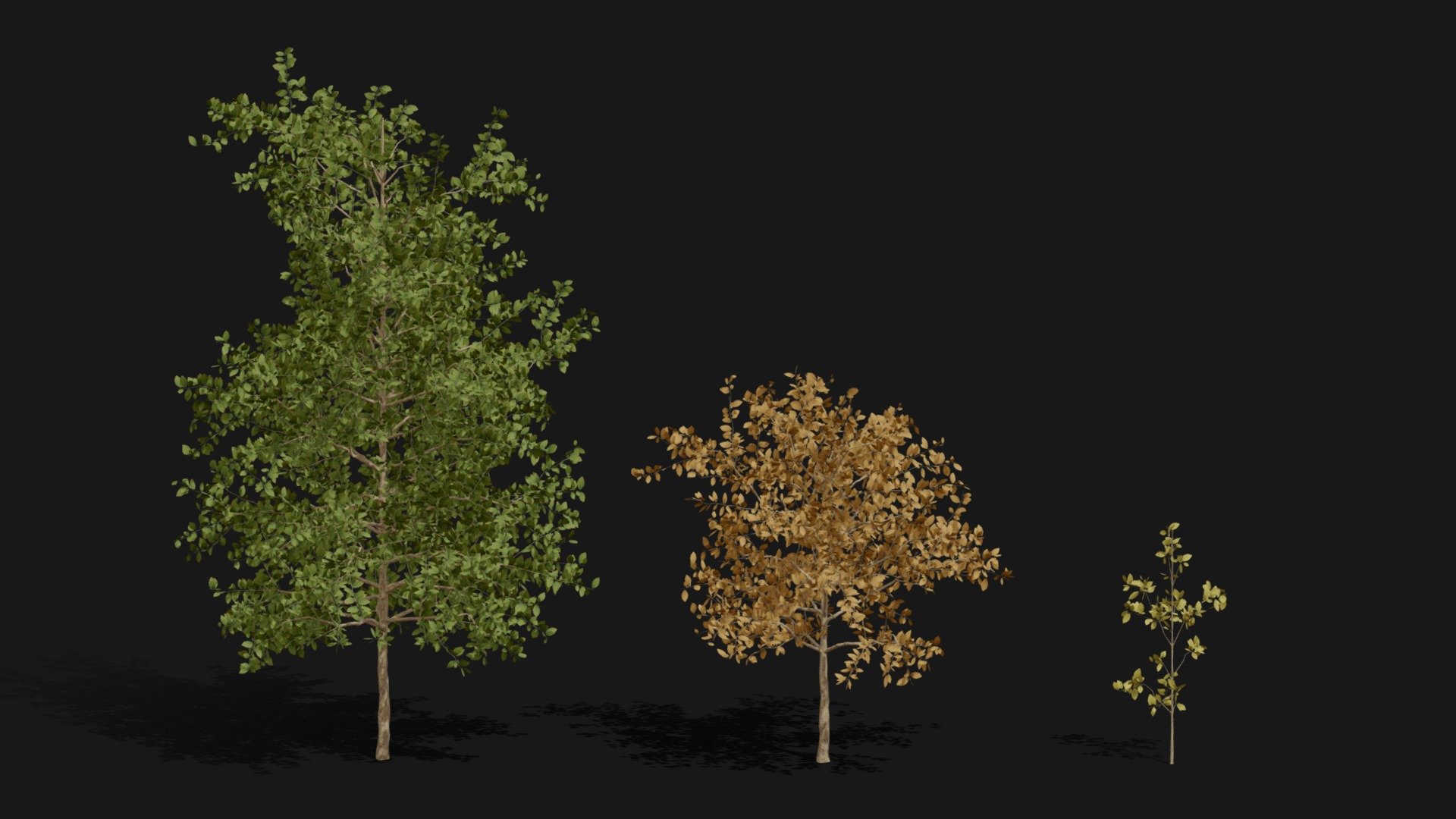 Realistic Tree Set - Buy Royalty Free 3D model by Prit P ...