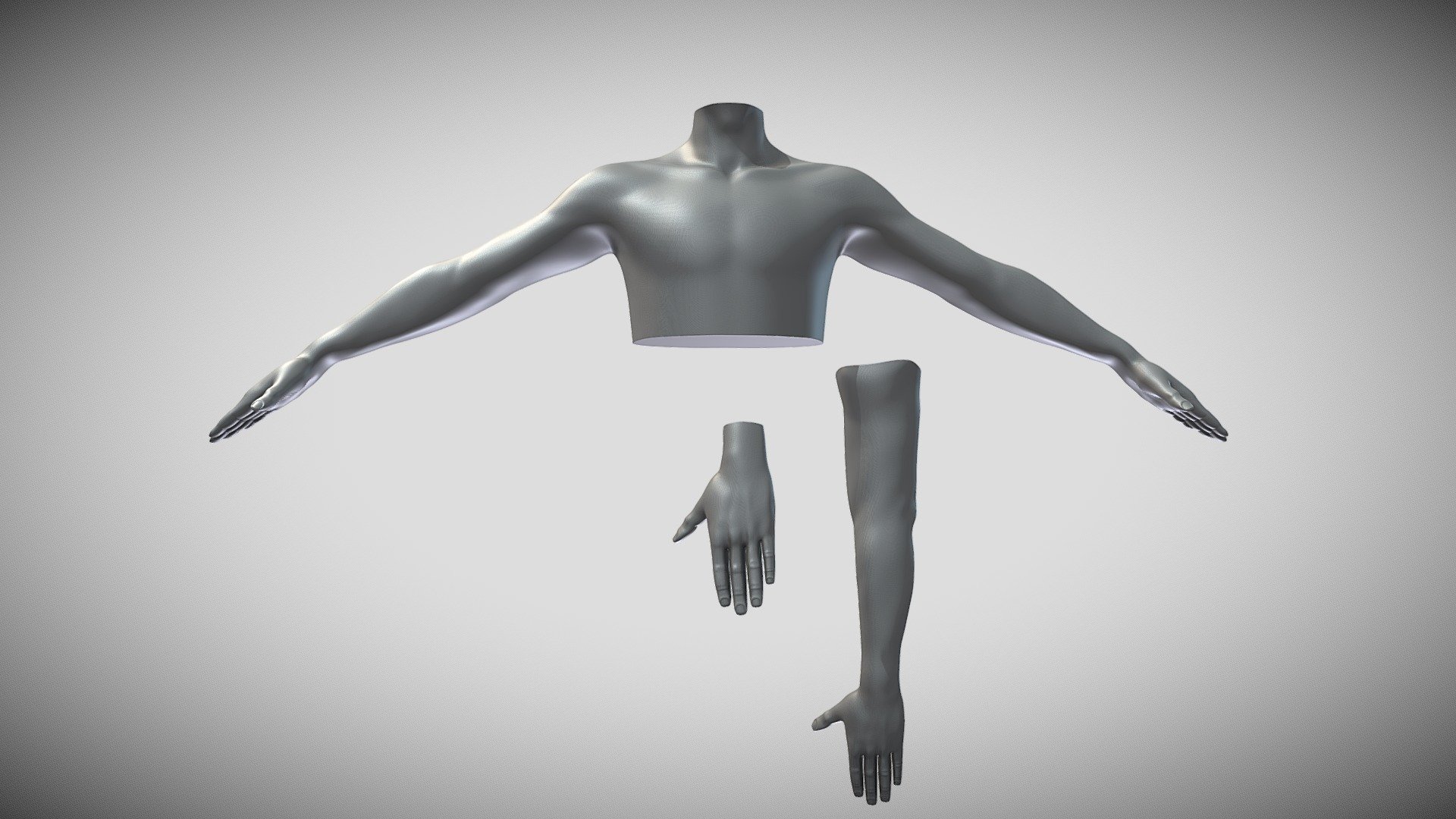 Male Arm & Hand - 3D model by JavanD.Kakala [968f9bb] - Sketchfab