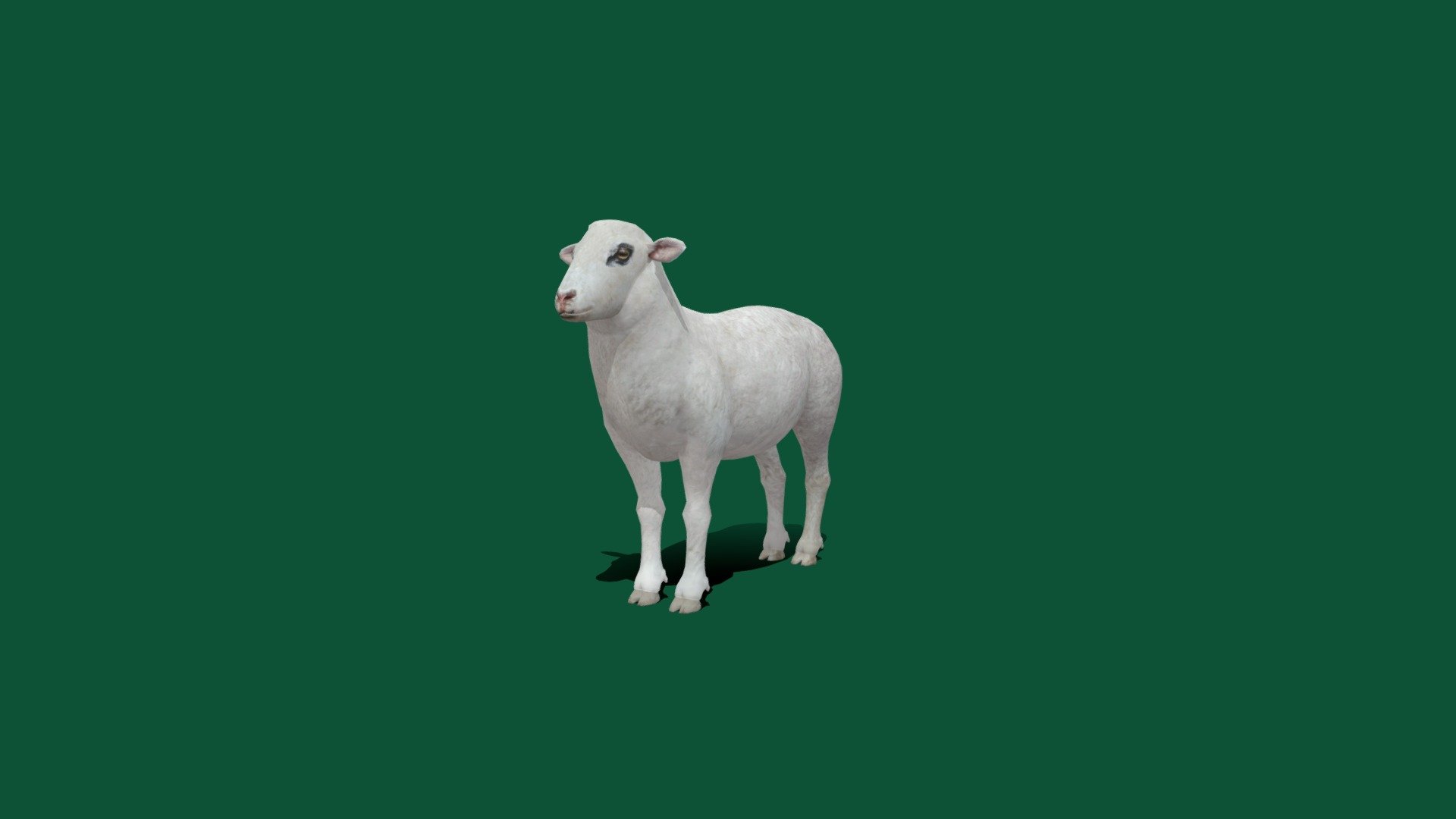 Sheep_lowpoly - Buy Royalty Free 3D model by Nyilonelycompany [9691755 ...