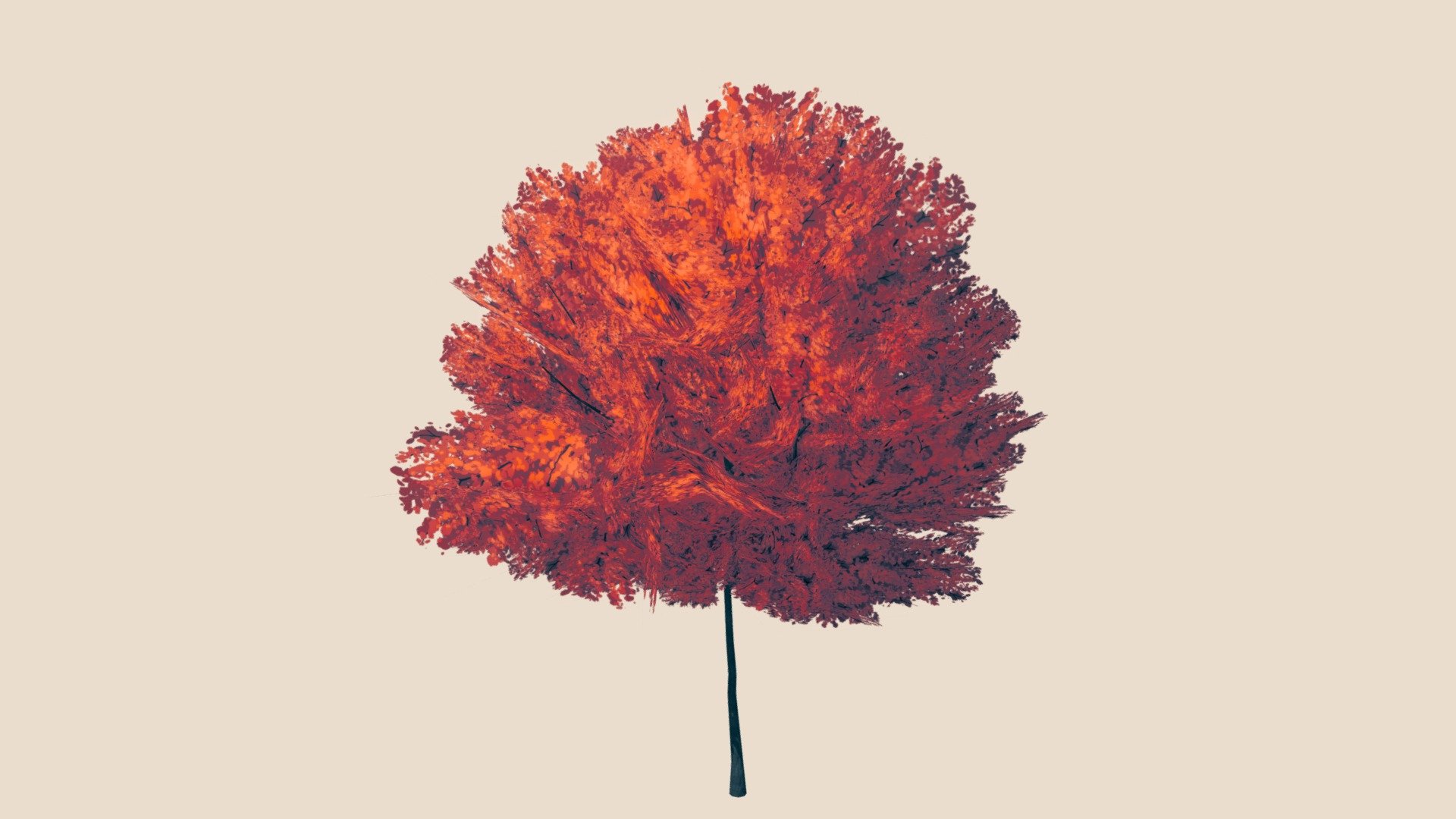 American Red Maple Tree - 3D model by Dex Jones (@DexJones) [96976fc ...
