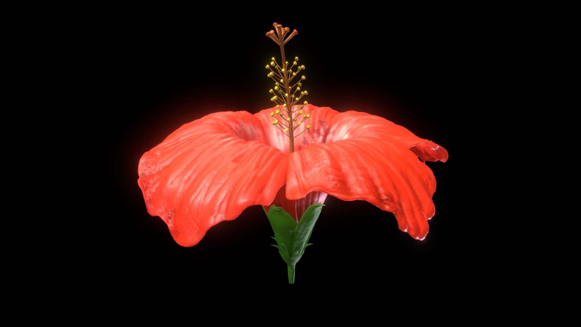 Hibuscus - Detailed Model with Internal Parts - Download Free 3D model ...
