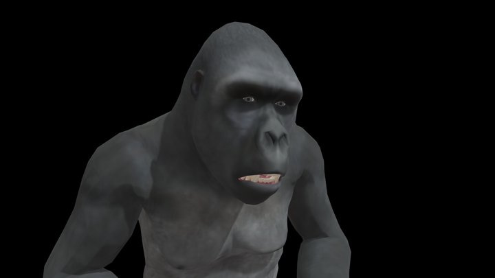 Scared 3D models - Sketchfab