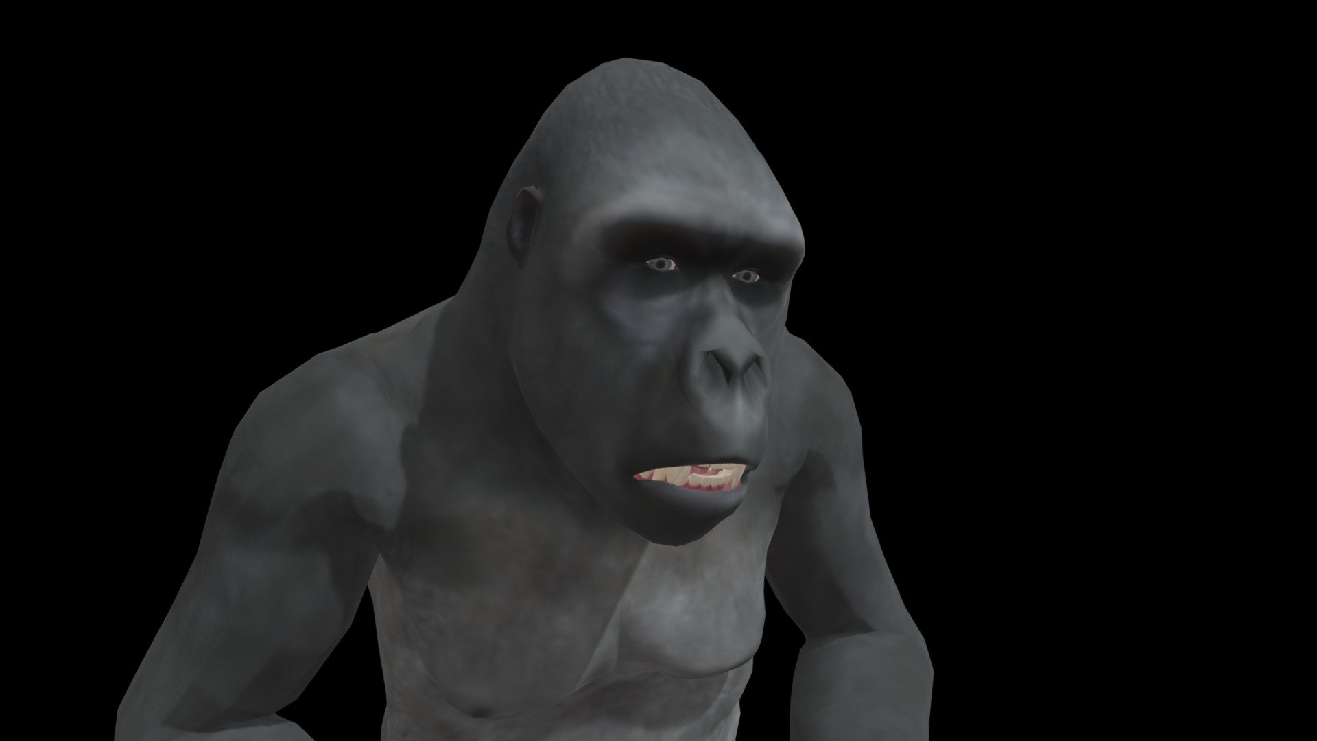 SCARED GORILLA LOOKING AT SOMETHING - ANIMATED - Buy Royalty Free 3D ...
